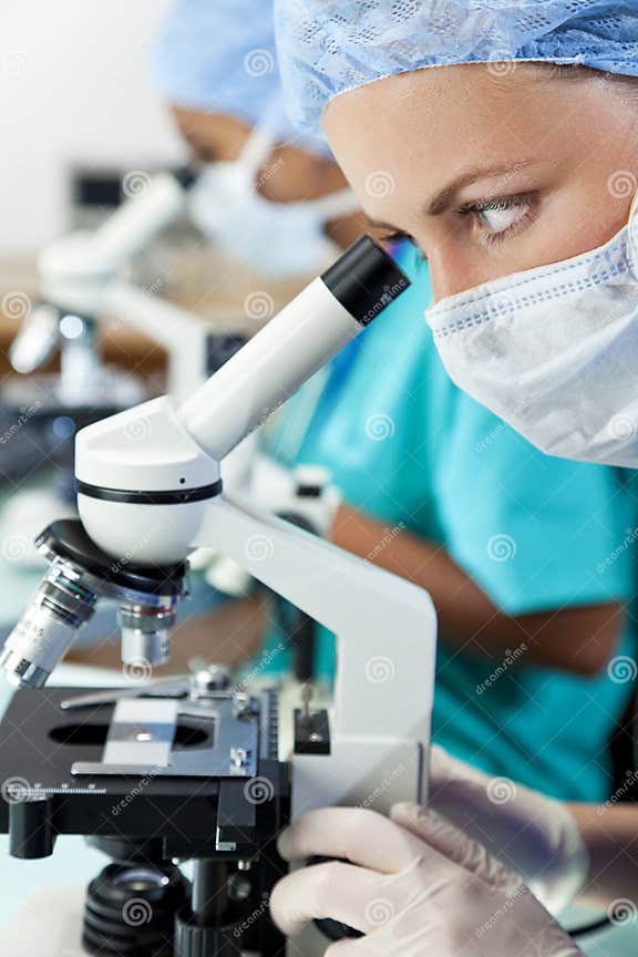 Female Scientists Using Microscopes in Laboratory Stock Image - Image ...