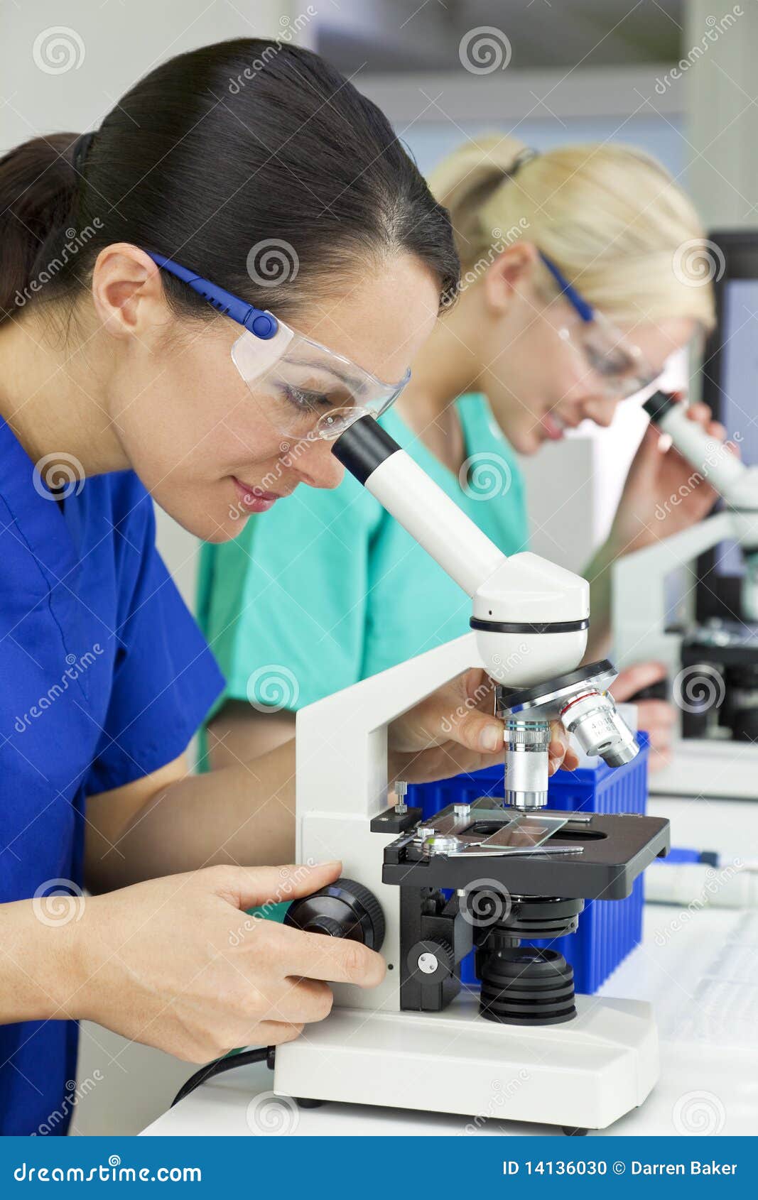Female Scientists Using Microscopes in Laboratory Stock Photo - Image ...
