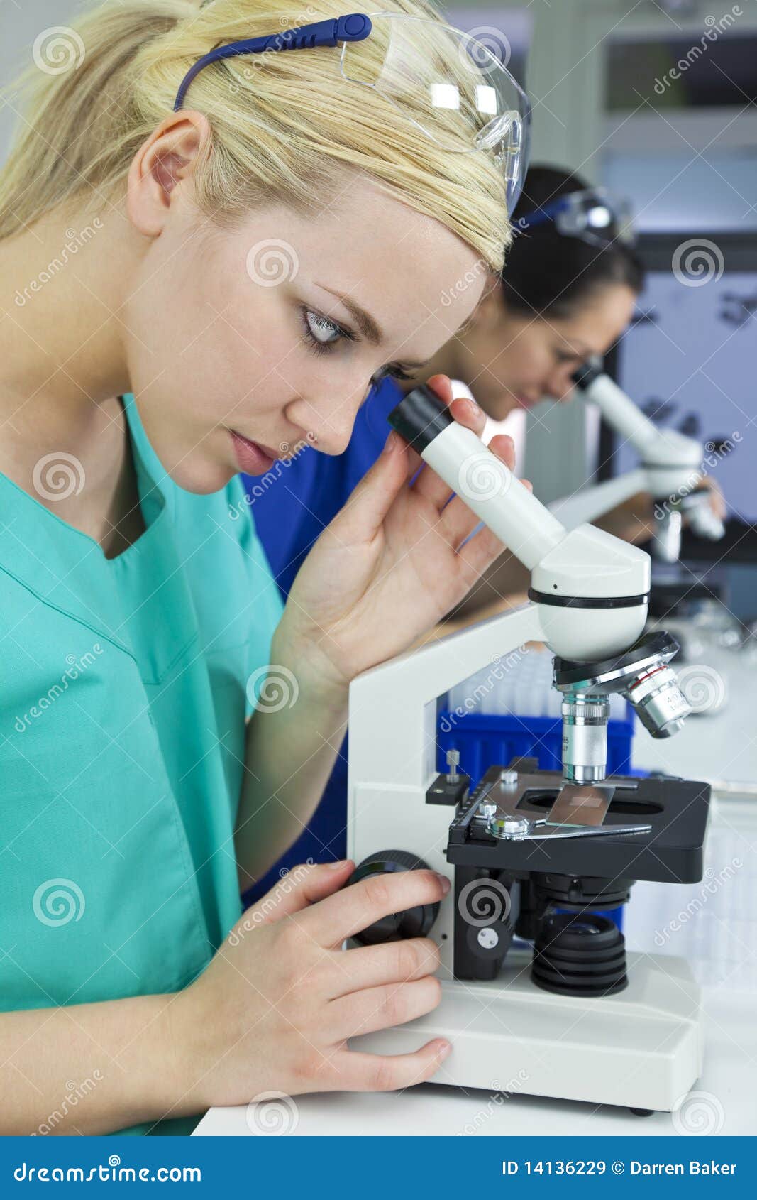 Female Scientists Using Microscopes in Laboratory Stock Image - Image ...
