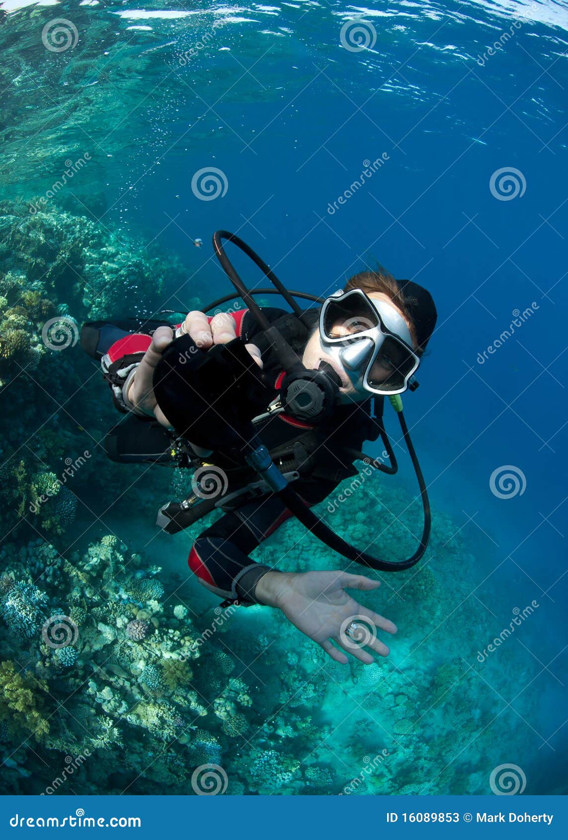 Female scuba diver. stock image. Image of sports, scuba - 16089853