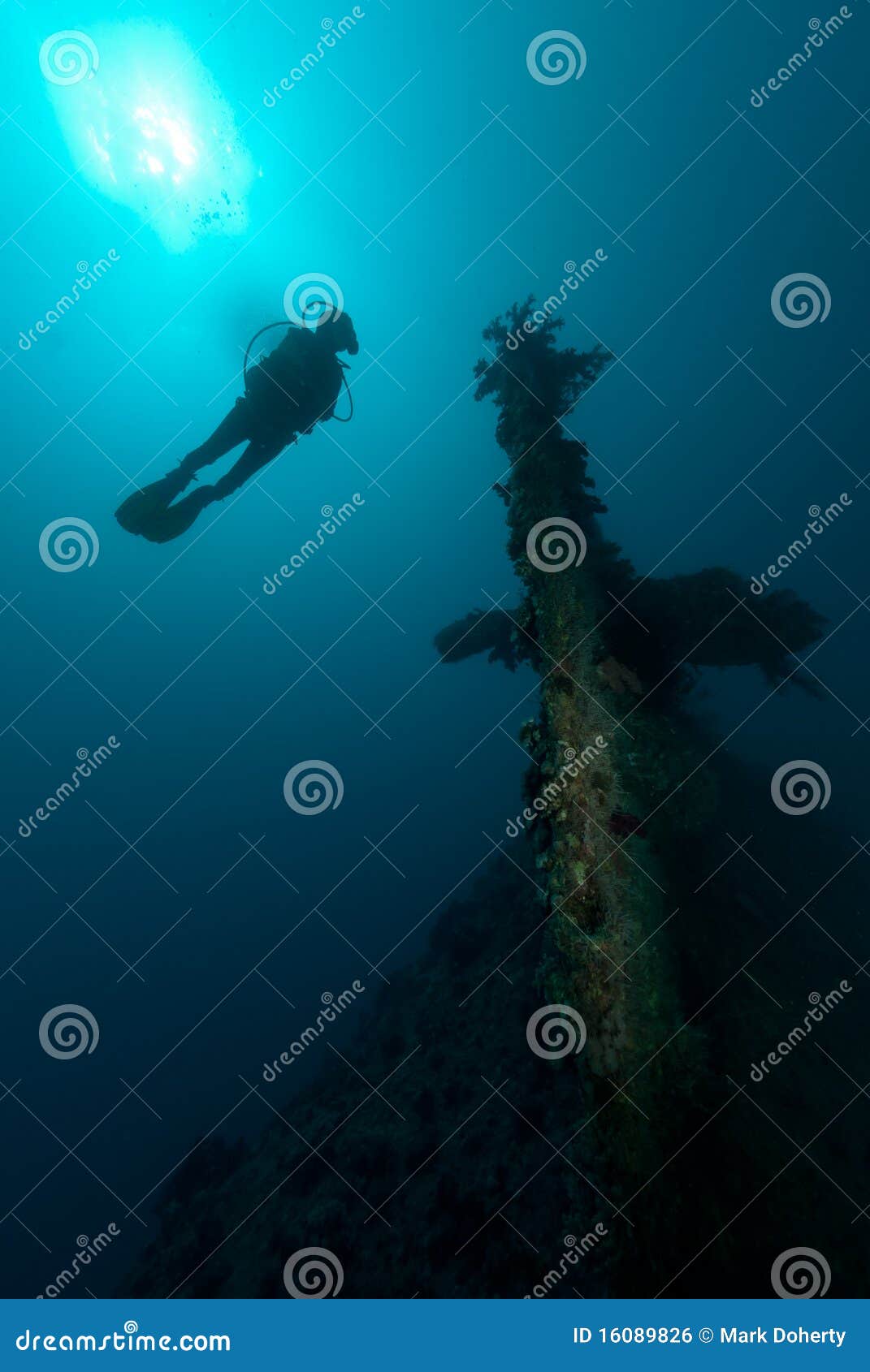 Female Scuba Diver Exploring Ship Wreck Stock Photo - Image of scuba ...