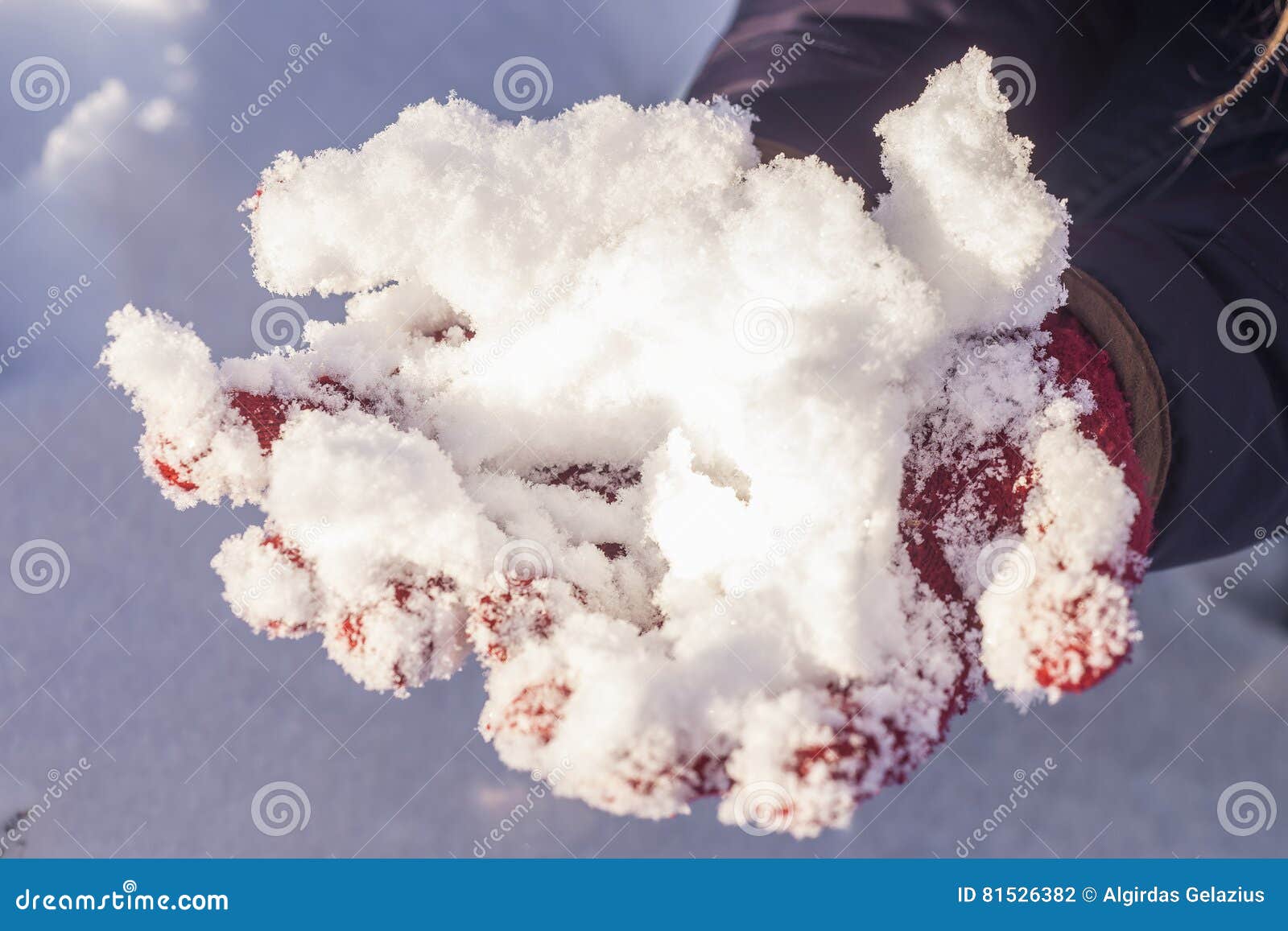 Female Shows Hands with Snowy Gloves Stock Photo - Image of person ...