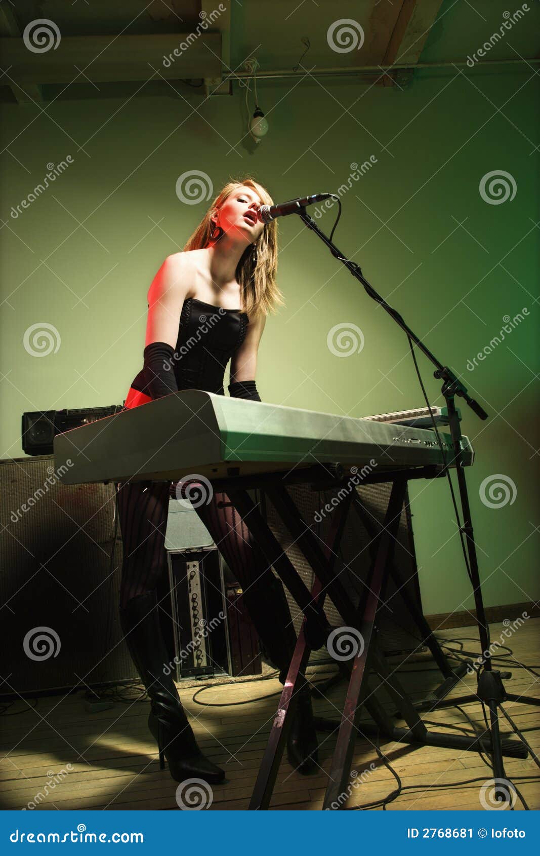 Female singing. stock image. Image of adult, musician - 2768681