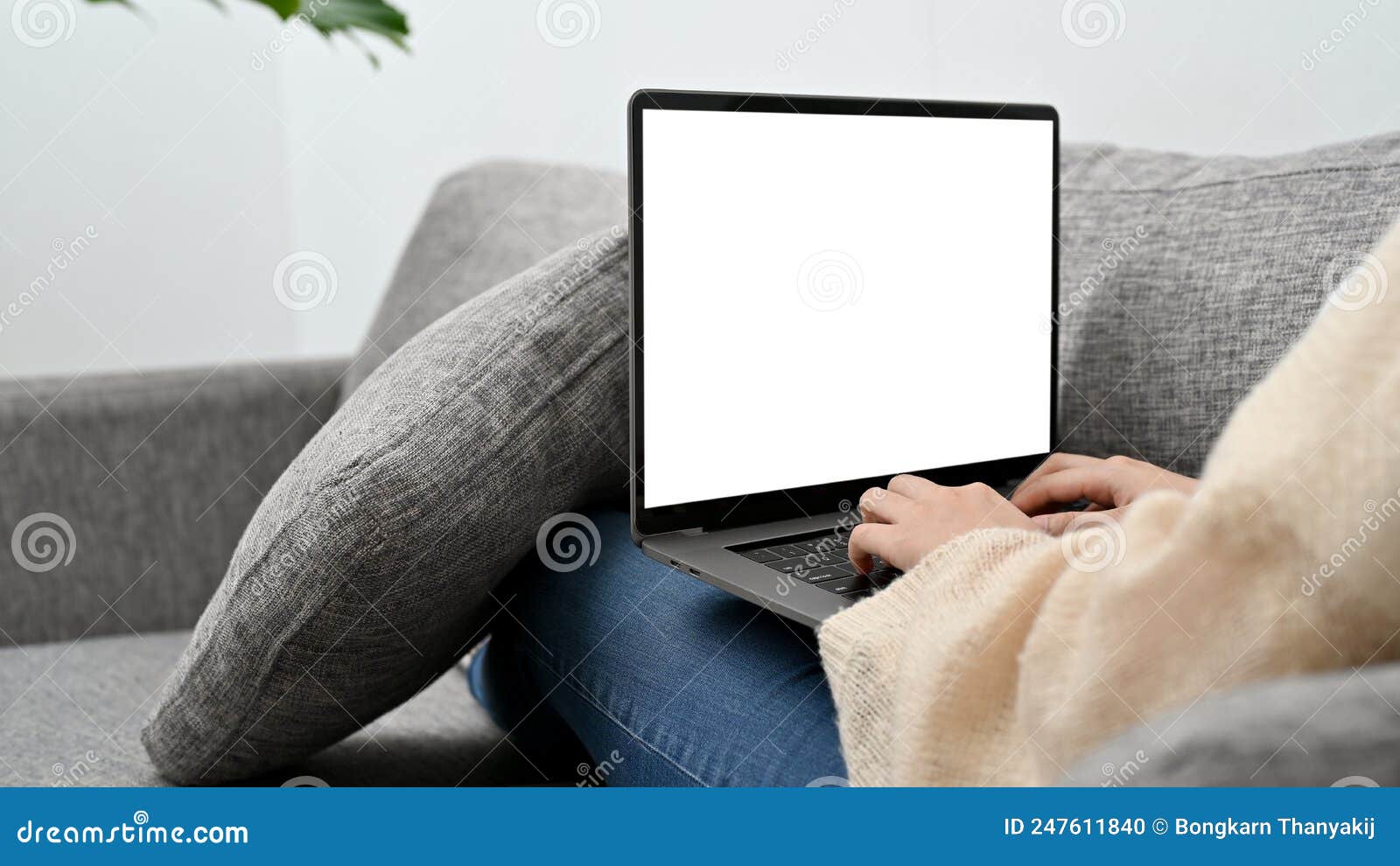 Female Sitting on Comfy Sofa and Using Laptop Computer Browsing on the ...