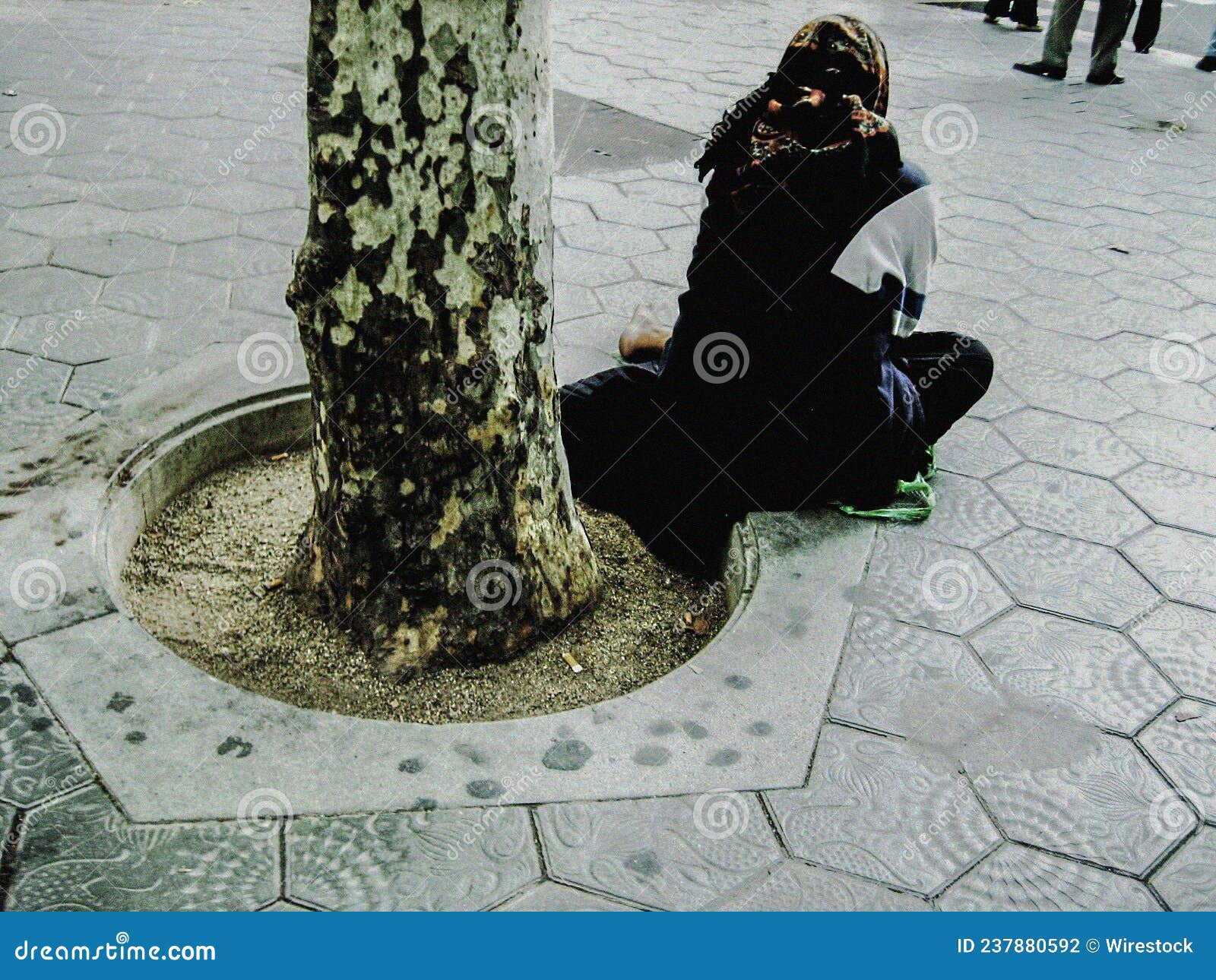Female Sitting on the Ground Near the Roots of a Tree Stock Photo ...