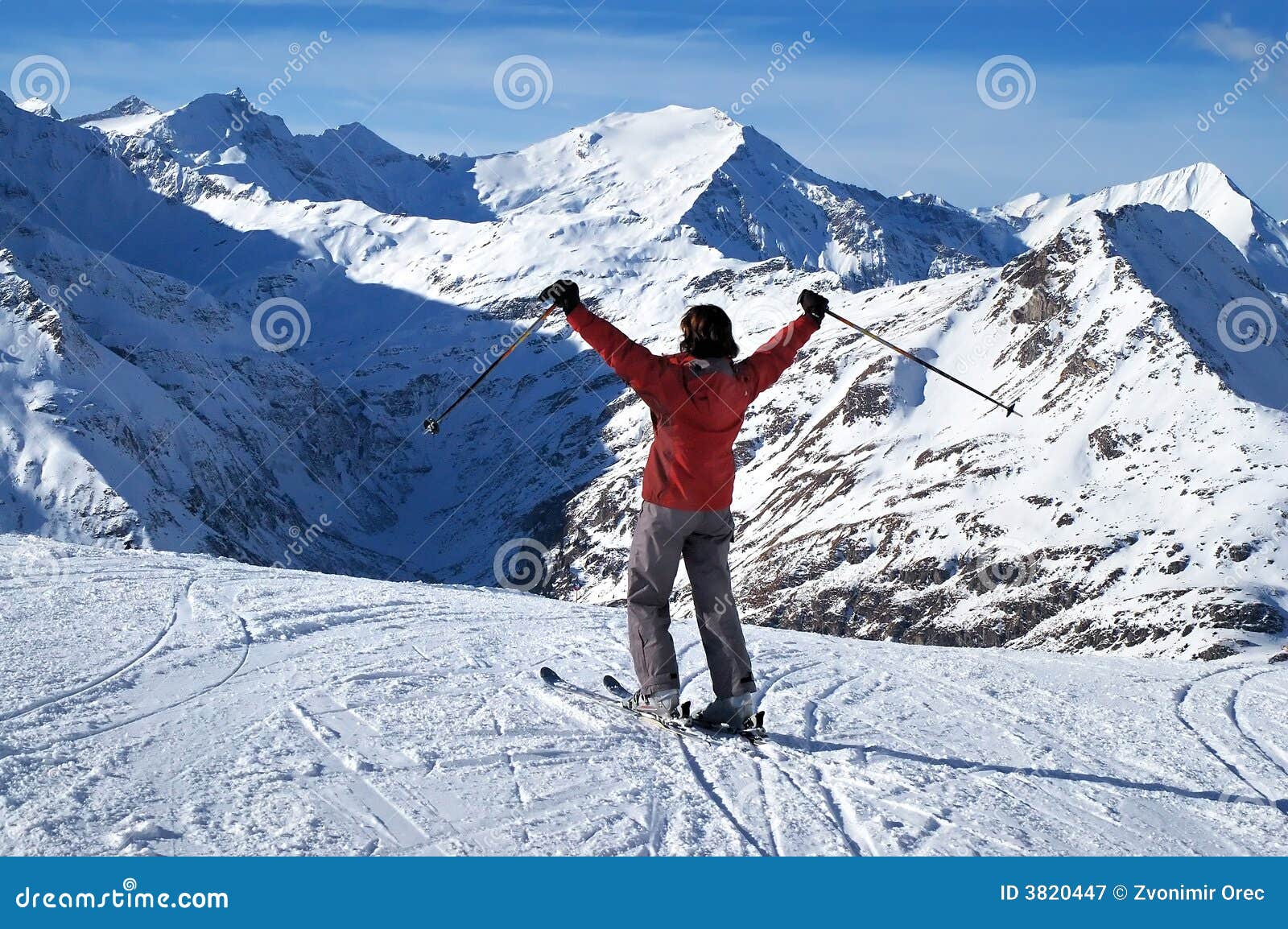 Female skier stock image. Image of sport, cold, alps, winter - 3820447