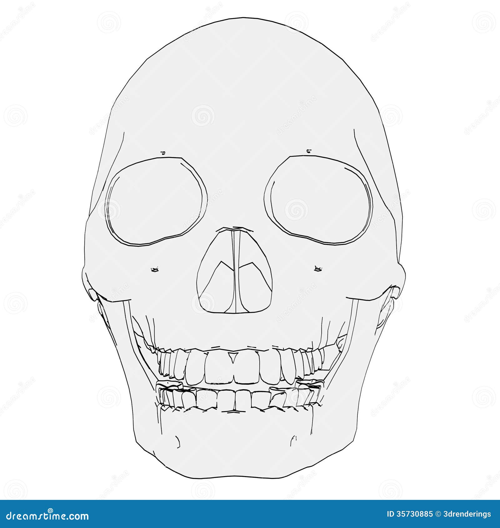 Female skull stock illustration. Illustration of draw - 35730885