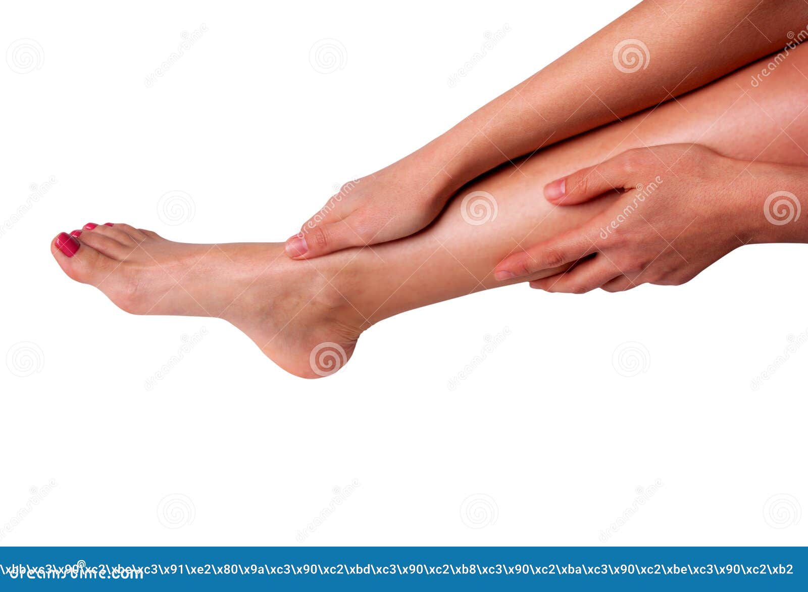 Female Slender Beautiful Legs Isolated On White Background Royalty-Free ...