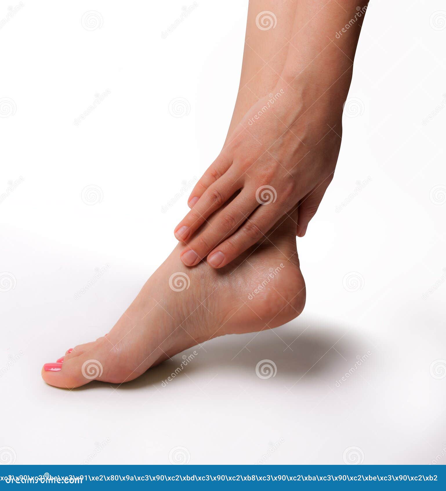 Female Slender Beautiful Legs Isolated on White Background Stock Photo ...