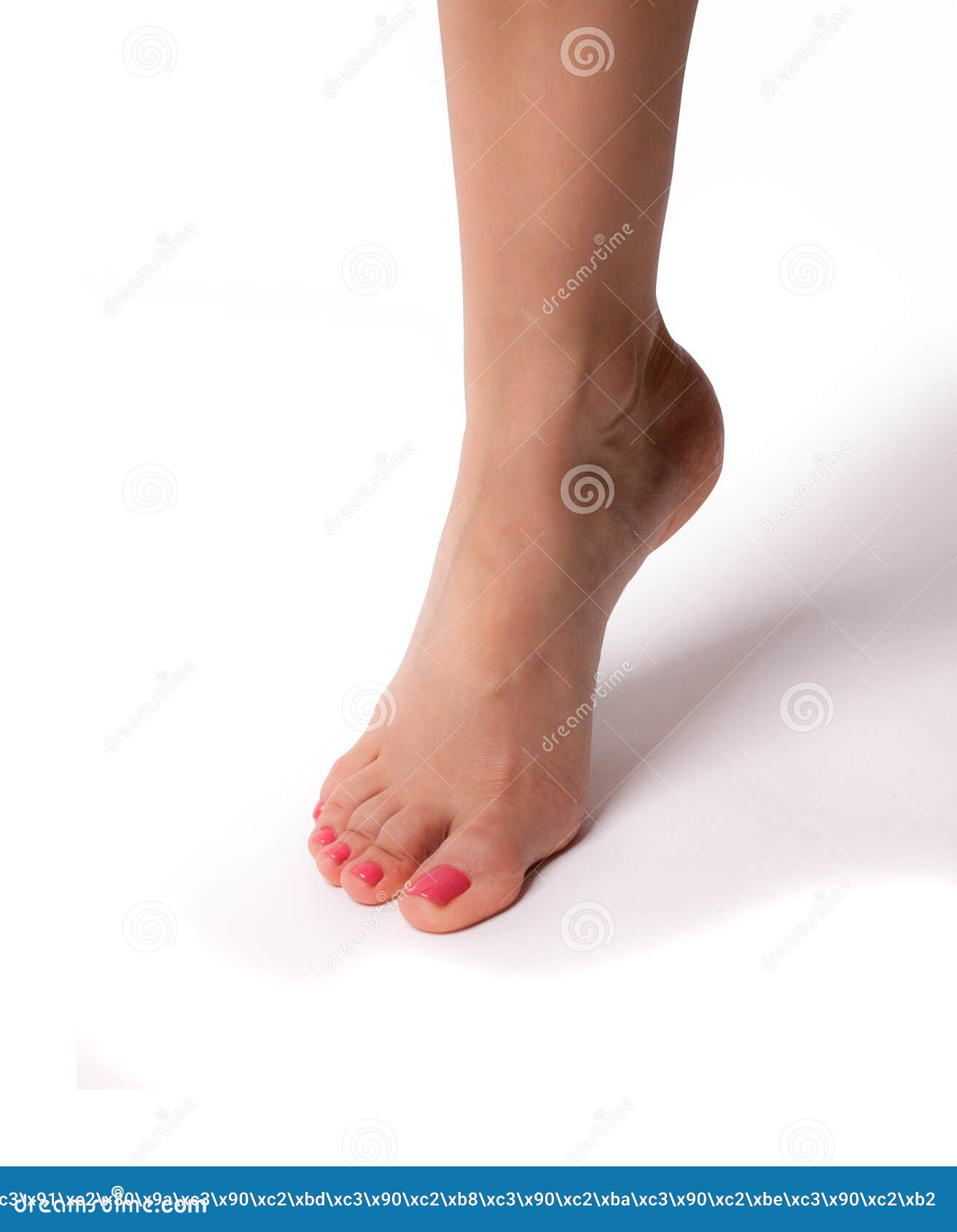 Female Slender Beautiful Legs Isolated on White Background Stock Photo ...