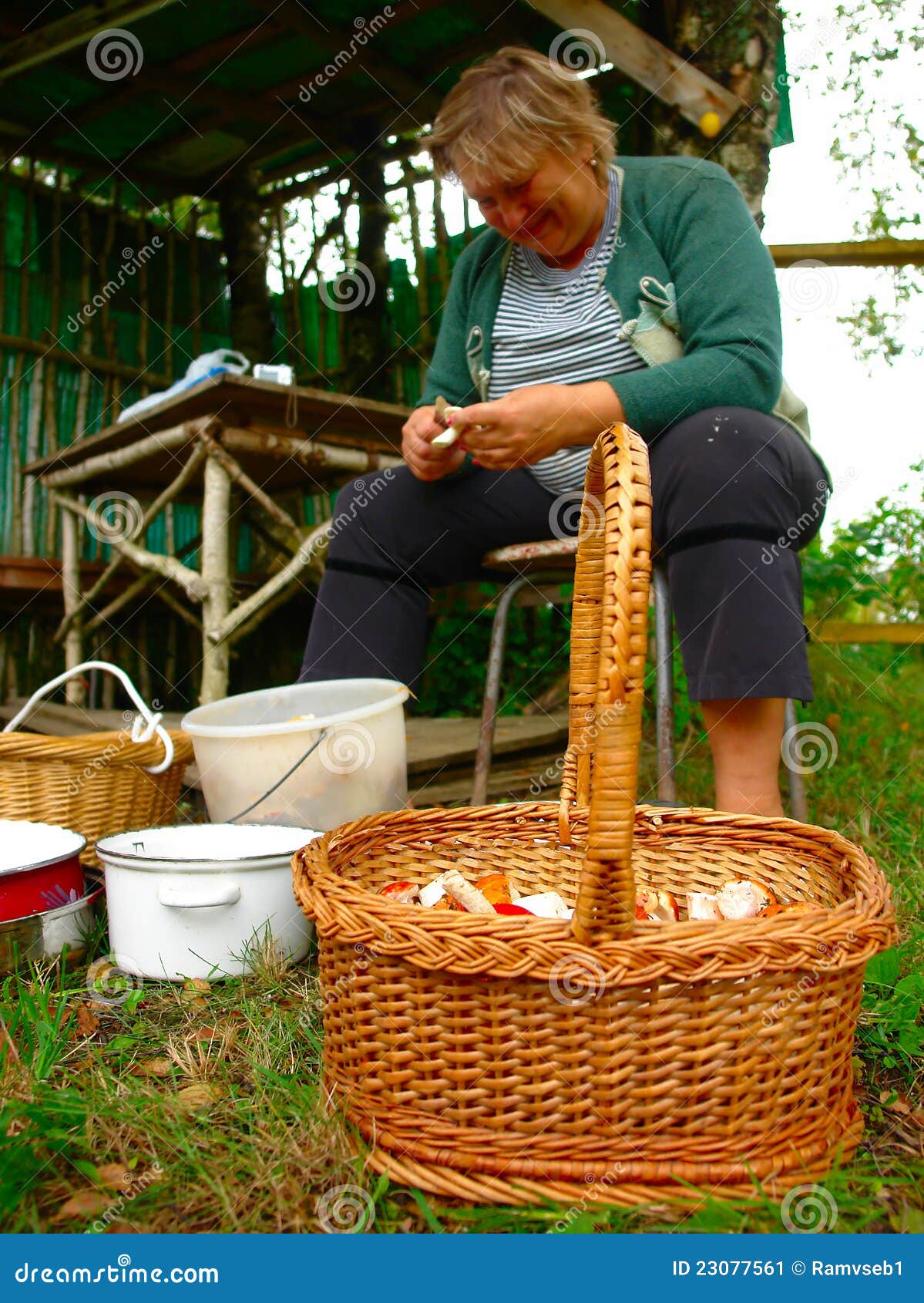 Female Slicing Mushrooms stock image. Image of housewife - 23077561