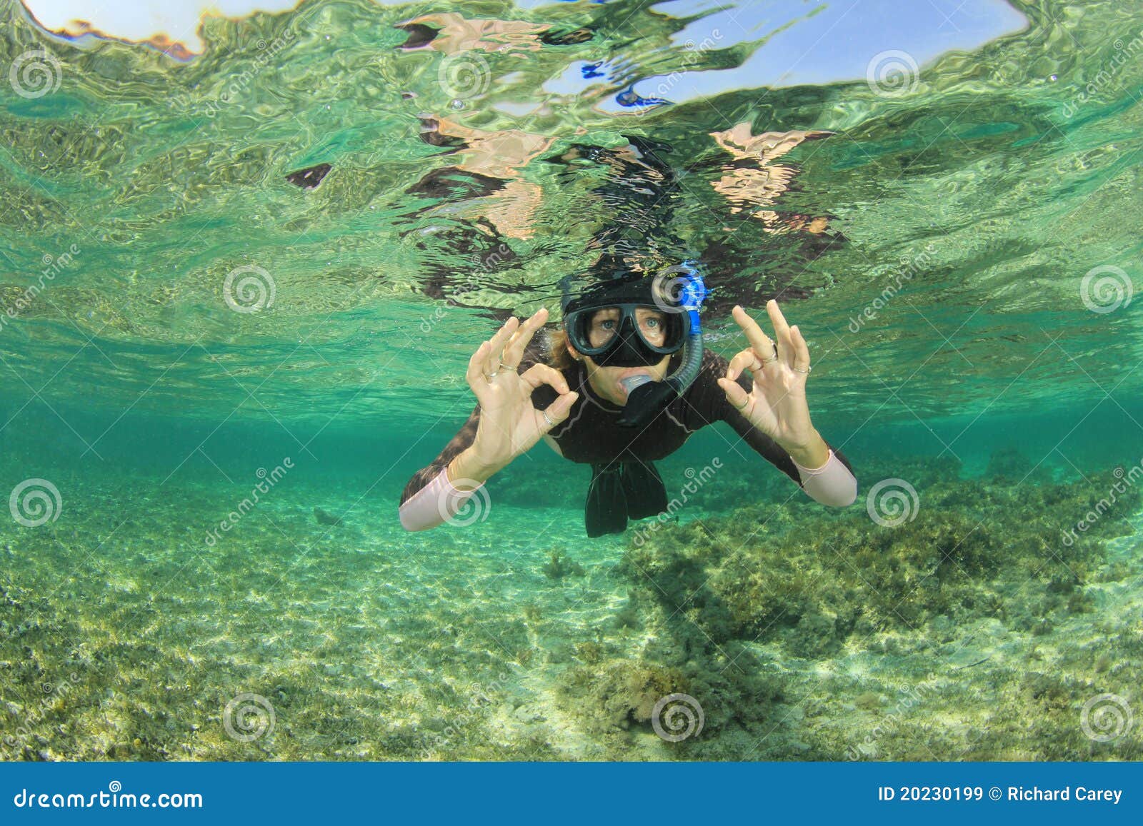 Female Snorkeler stock image. Image of underwater, snorkel - 20230199