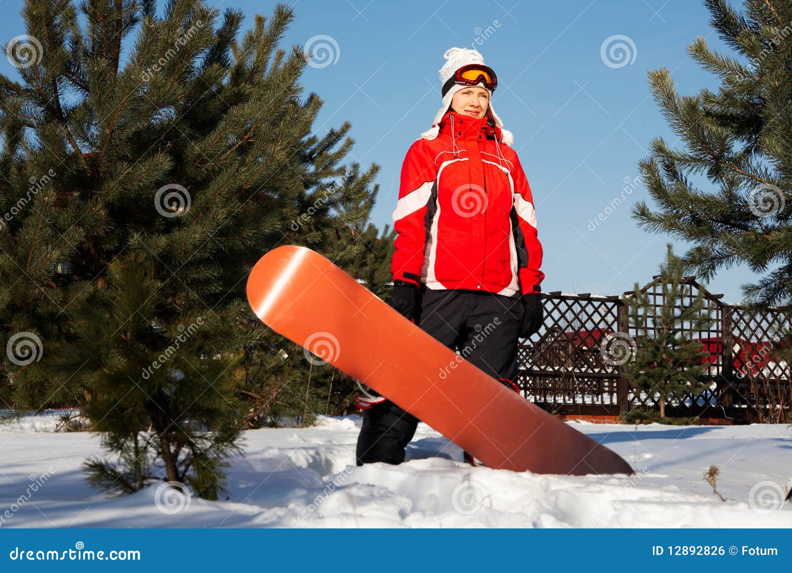 Female Snowboarder Over Blue Sky in Forest Stock Photo - Image of ...