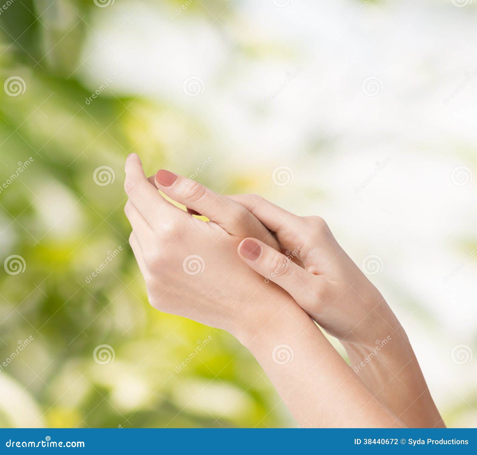 Female Soft Skin Hands Stock Photography | CartoonDealer.com #38442788