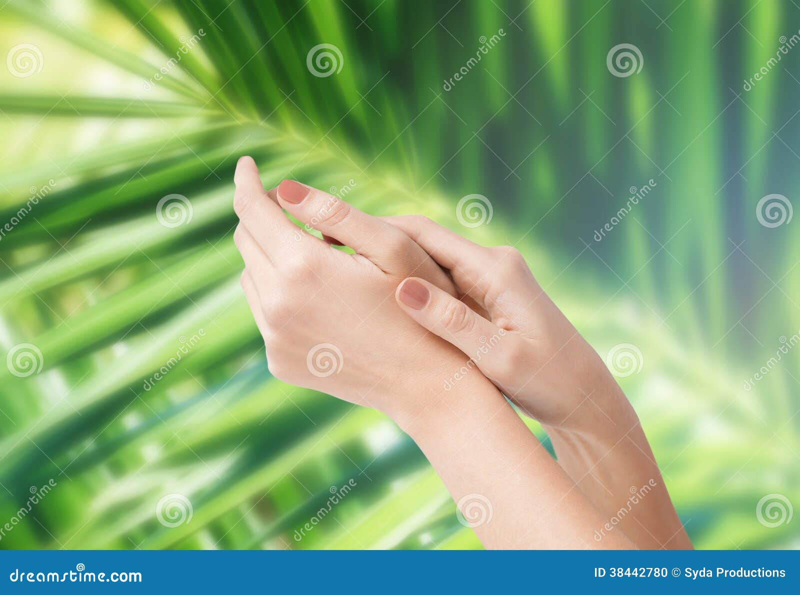 Female soft skin hands stock photo. Image of moisturizing - 38442780