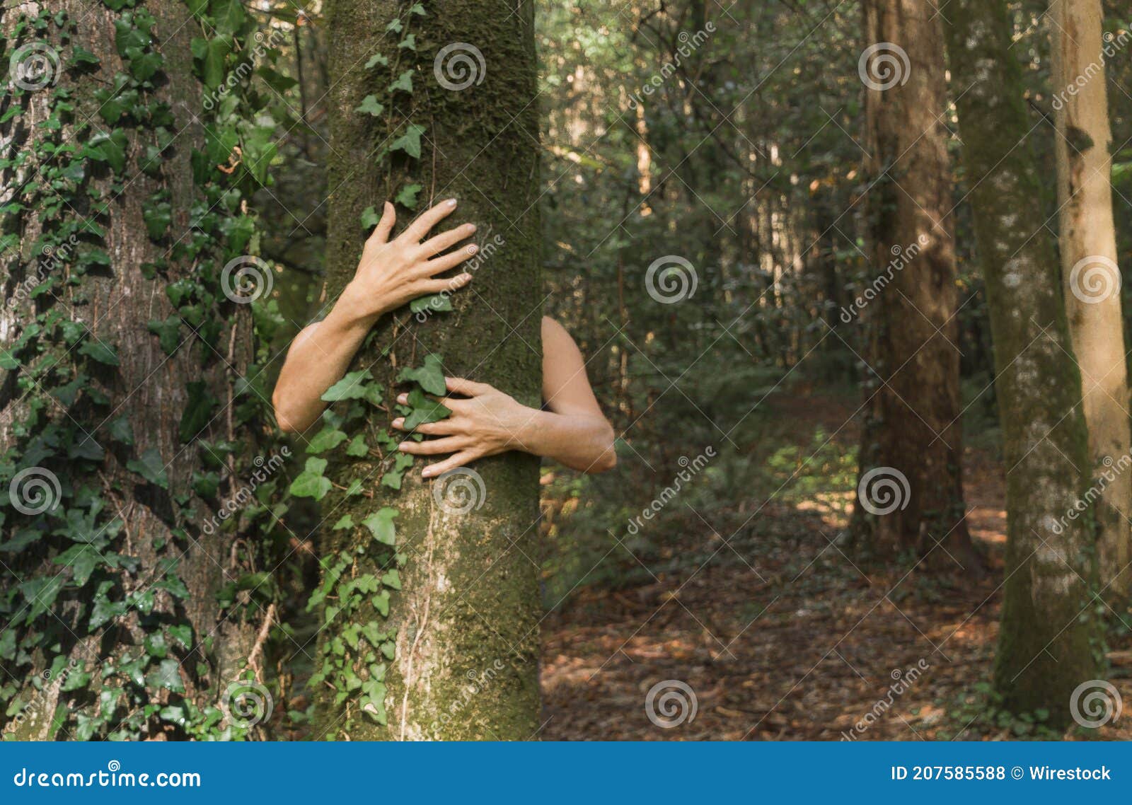 Female Standing Behind a Tree and Holding the Trunk Stock Photo - Image ...