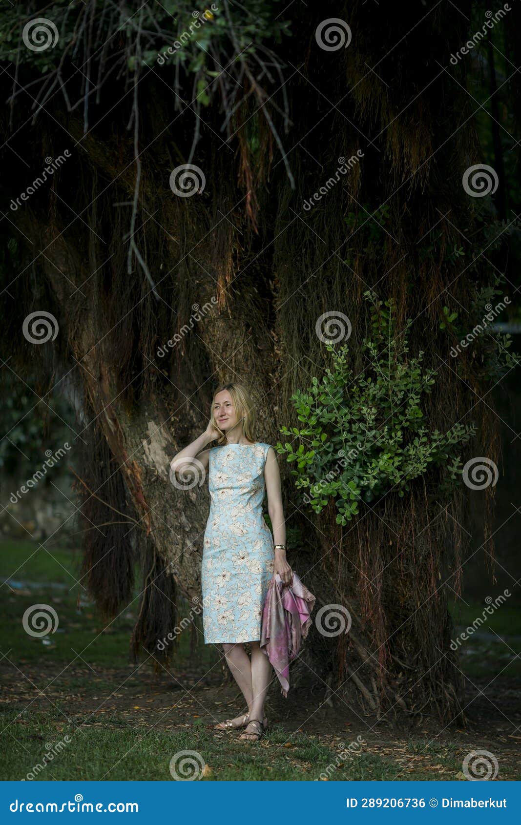 Female Standing by a Large Tree in a Park. Stock Photo - Image of lady ...