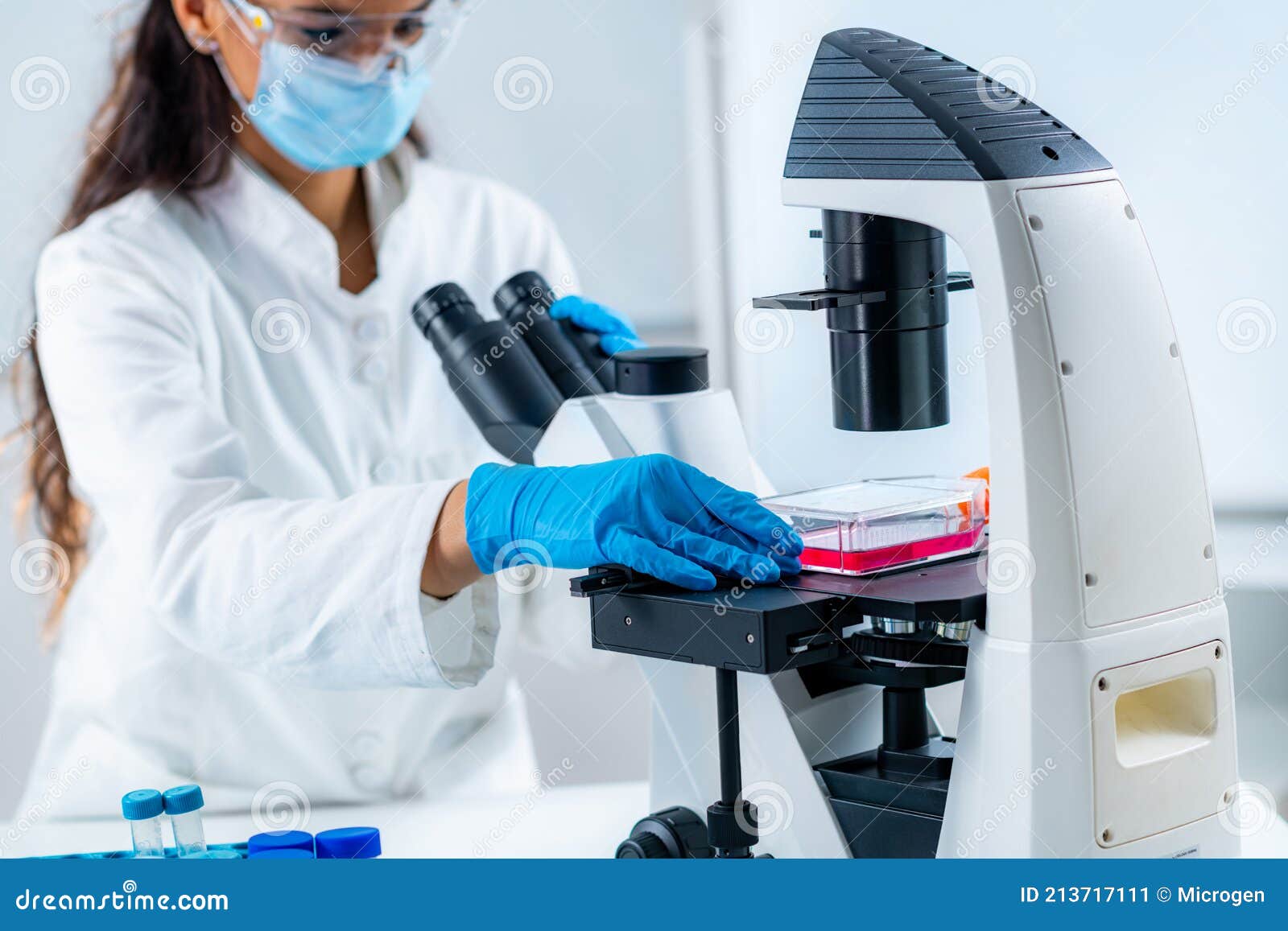 Female Student in Laboratory, Placing Culture Flask on the Microscope ...
