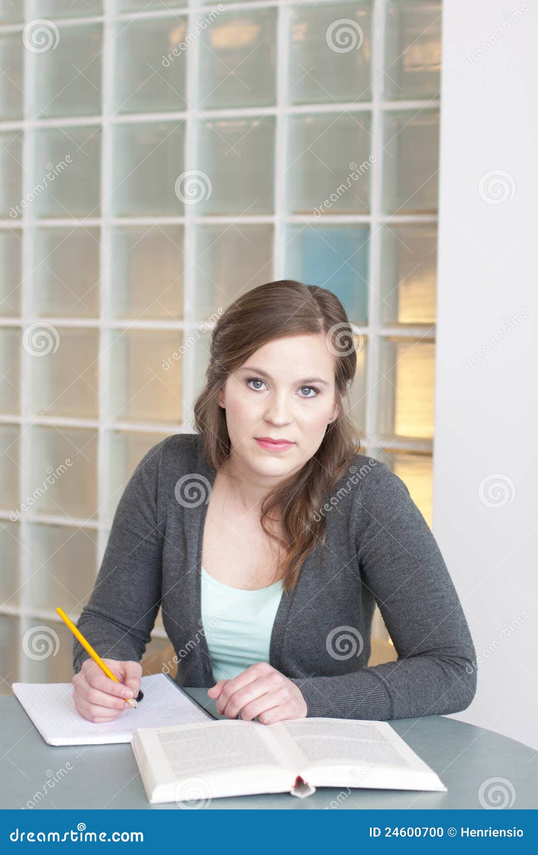 Female student studying stock photo. Image of copy, person - 24600700