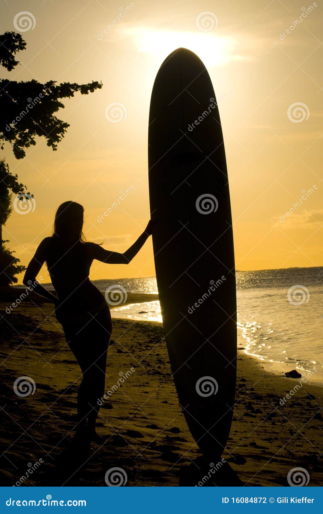 2,472 Female Surfer Silhouette Stock Photos - Free & Royalty-Free Stock Photos from Dreamstime