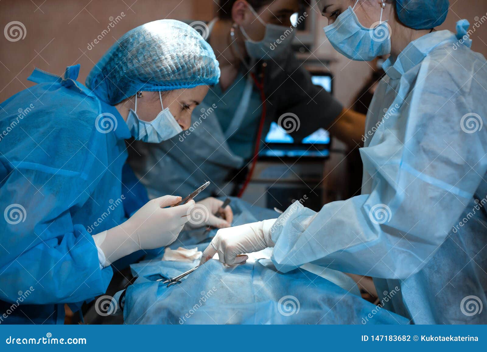 Incisions Stock Photos - Download 259 Royalty Free Photos