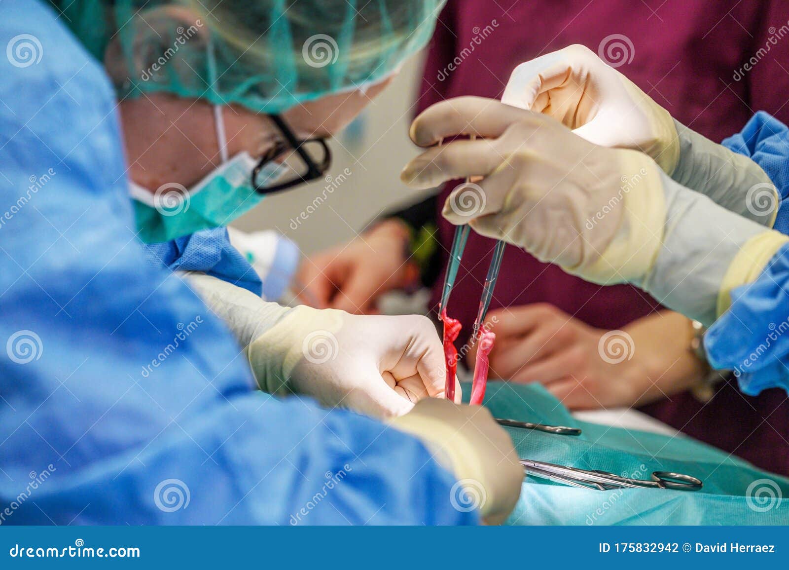 Female Surgeon in Operation Room, Operating a Patient. Stock Photo ...