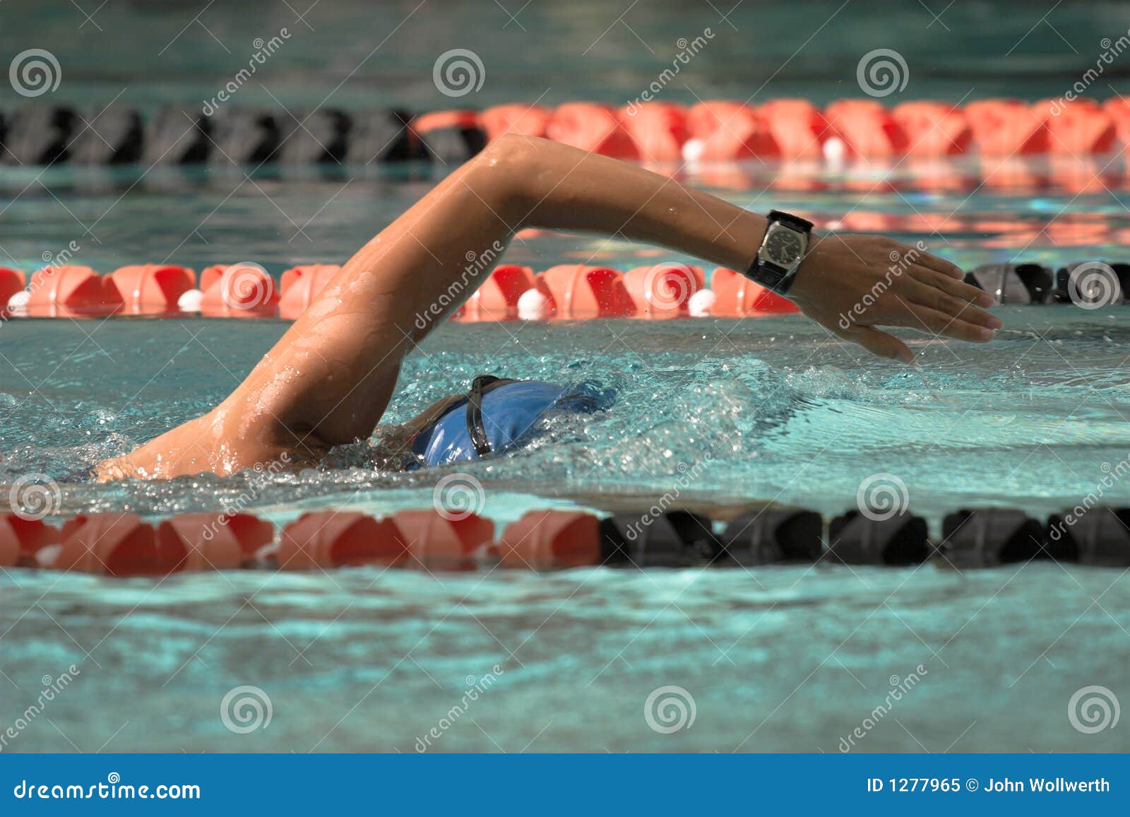 Female swimmer stock image. Image of exercise, compete - 1277965
