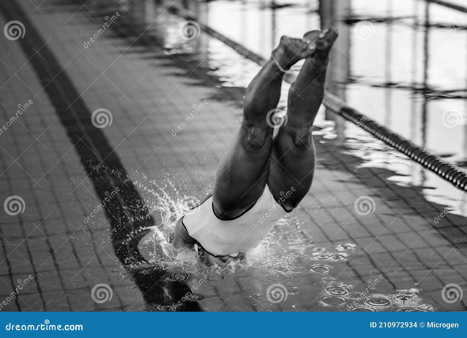 Female Swimmer Jumping in To the Pool Stock Photo - Image of health ...