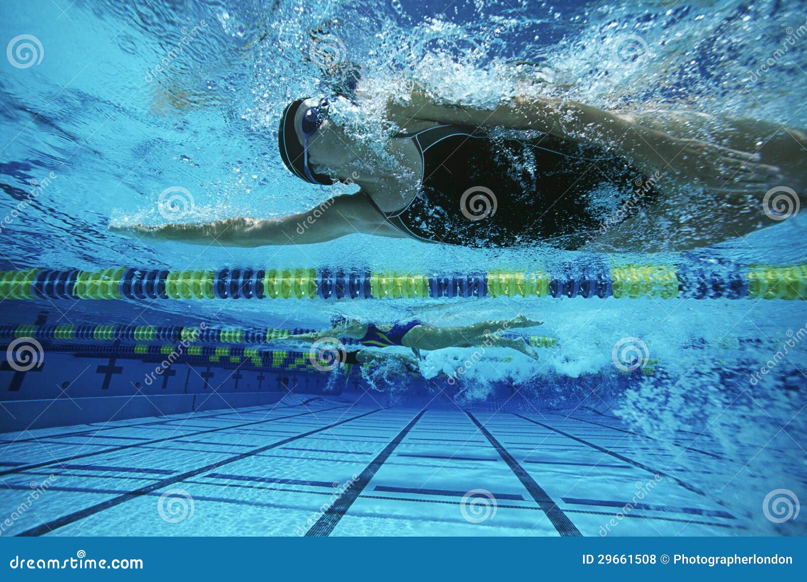 Female Swimmers Swimming stock photo. Image of competition - 29661508