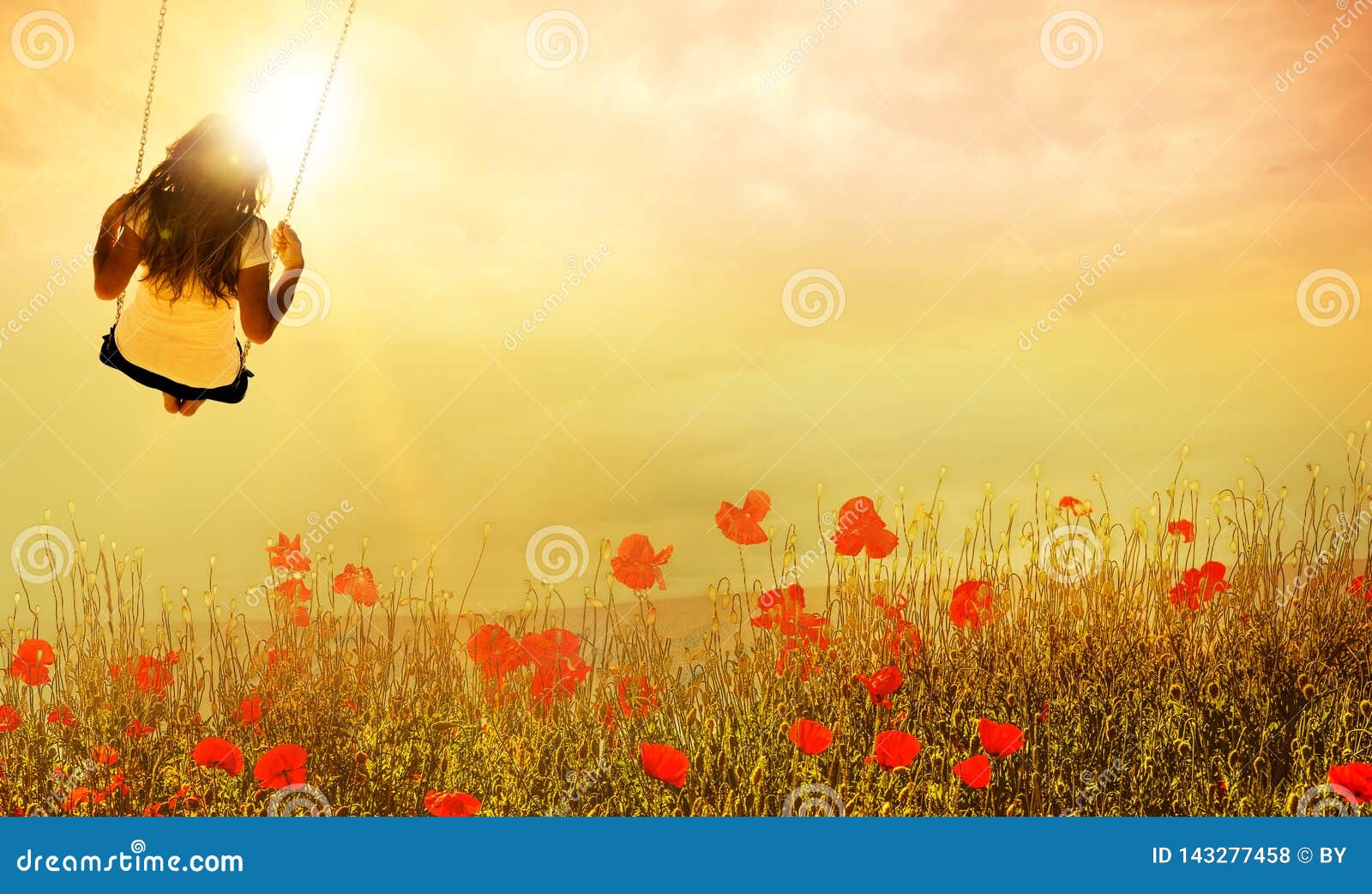 Female on Swing stock photo. Image of outdoors, back - 143277458