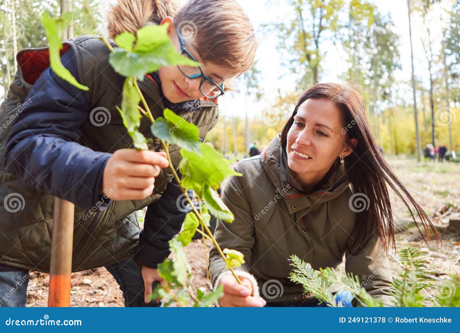 Female Teacher and Child with Deciduous Tree Seedling in Forest Stock ...