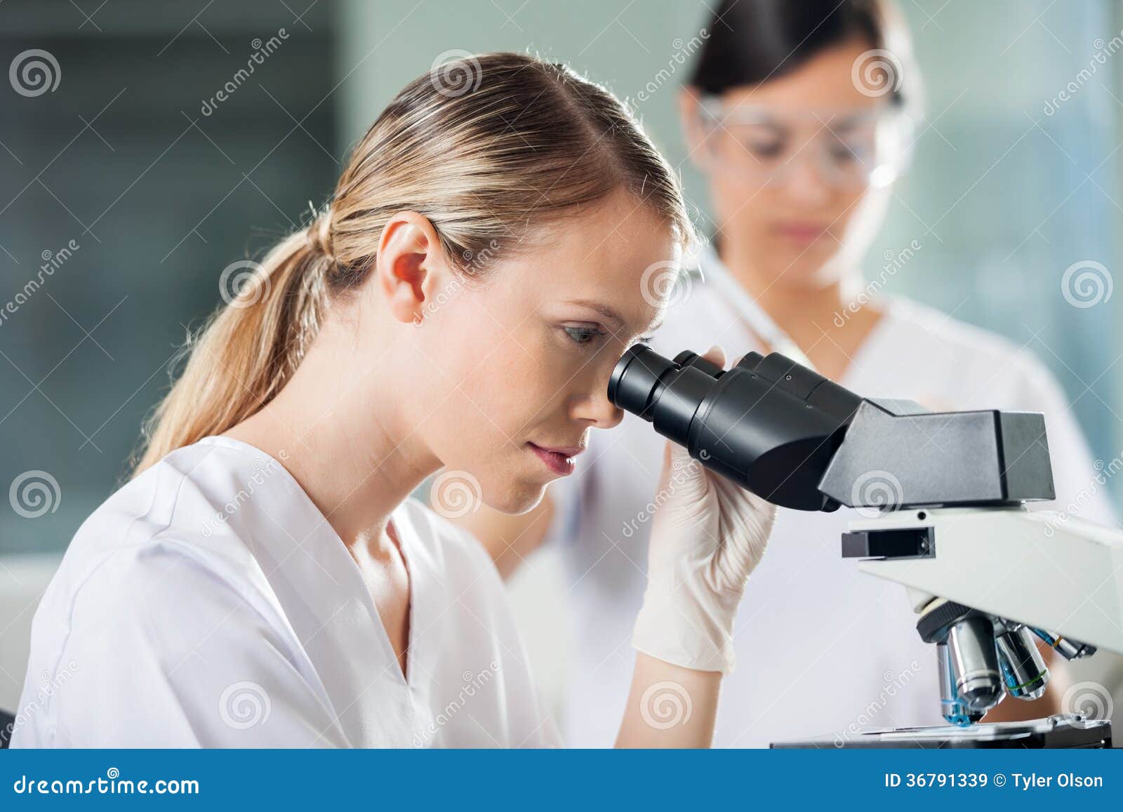 Female Technician Looking into Microscope Stock Image - Image of ...