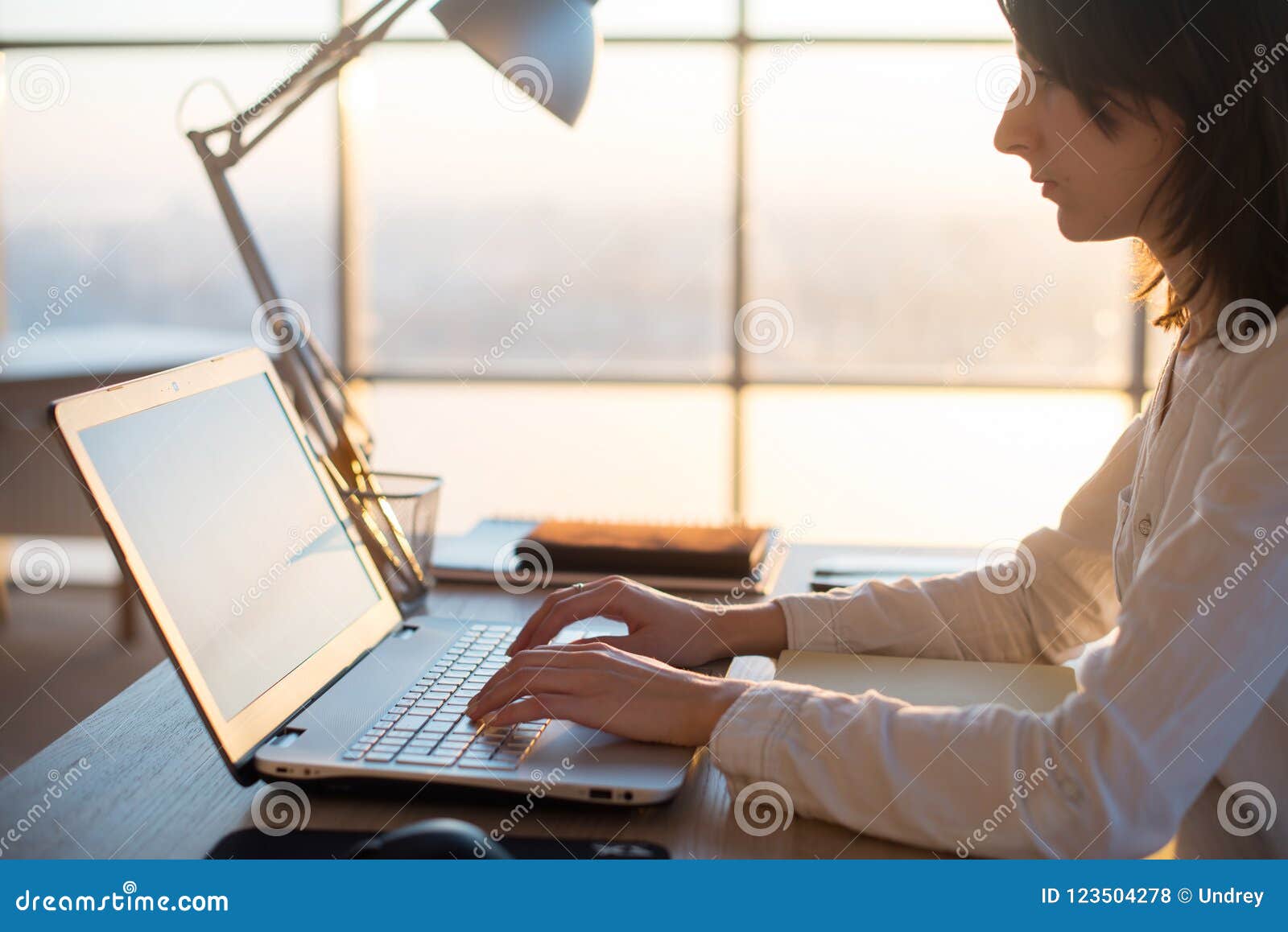 Female Teleworker Texting Using Laptop and Internet, Working Online ...