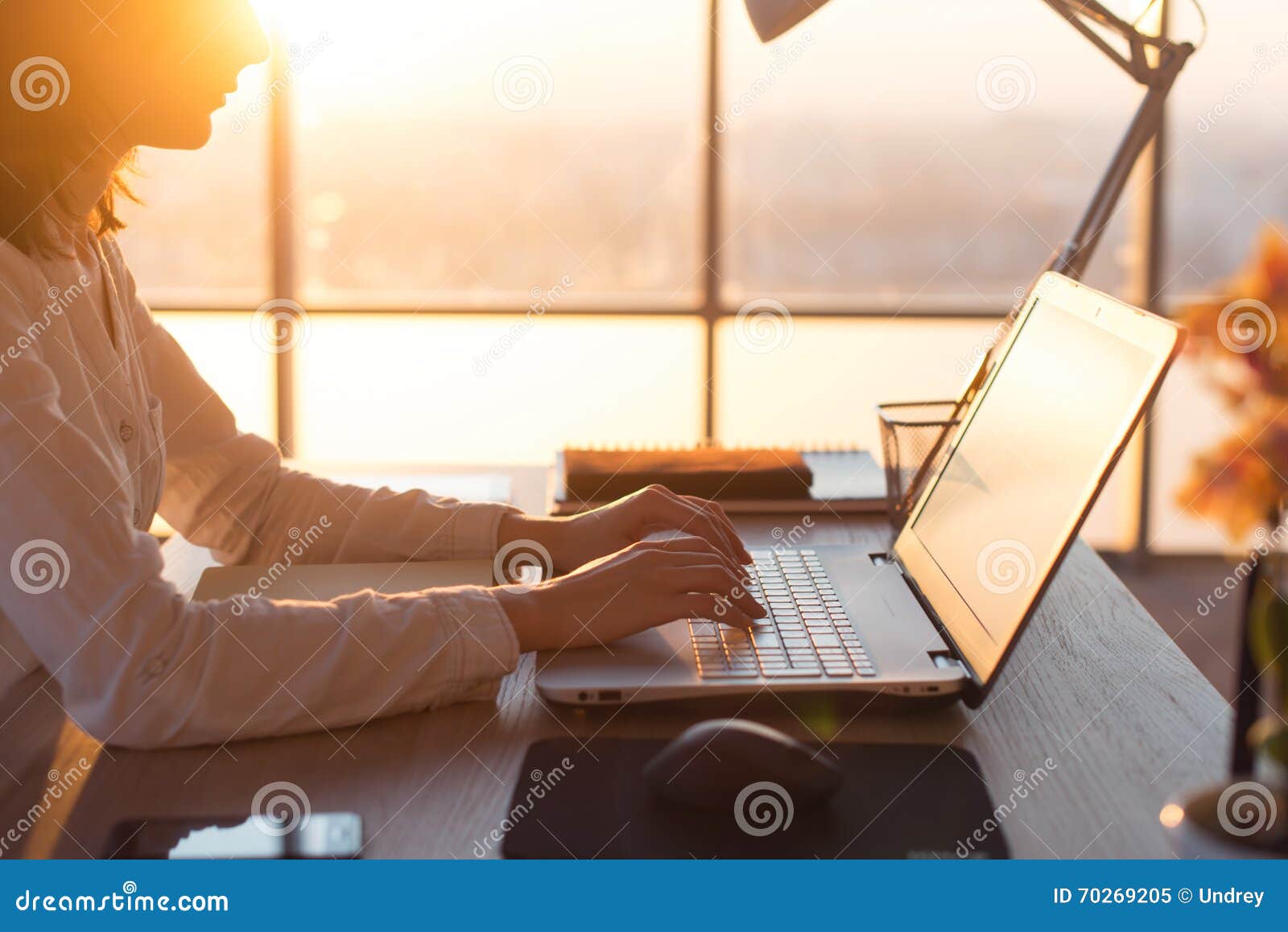 Female Teleworker Texting Using Laptop and Internet, Working Online ...