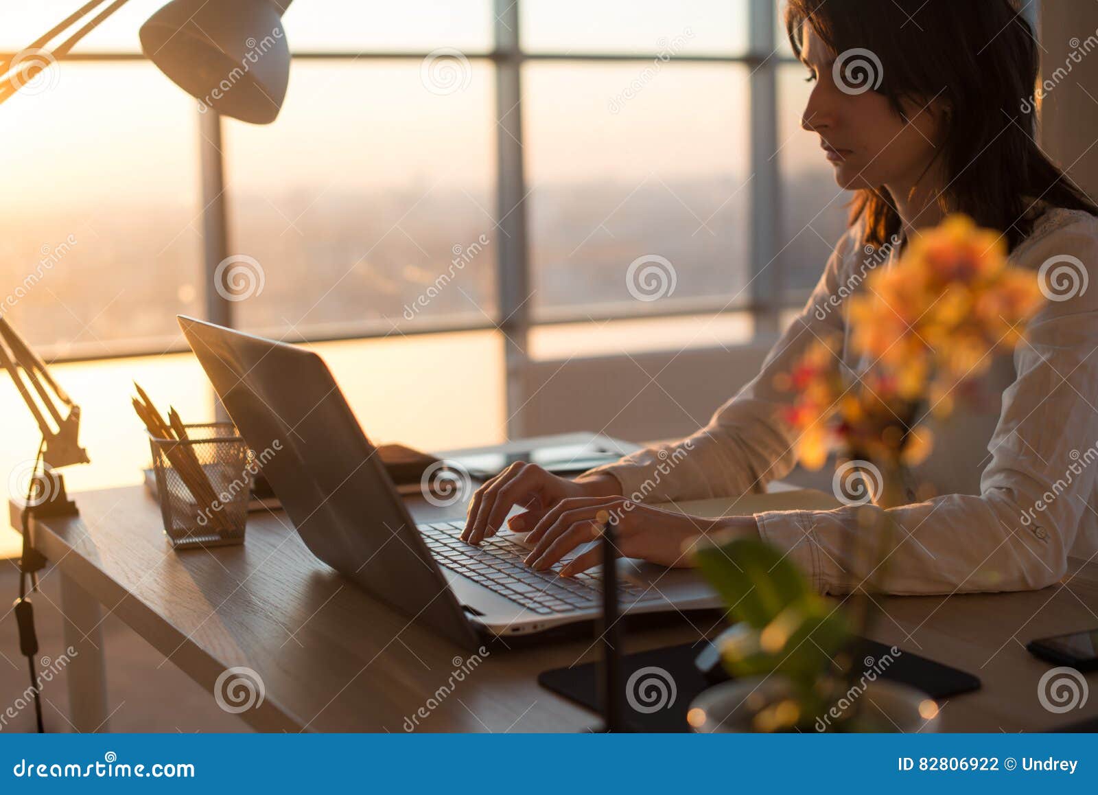 Female Teleworker Texting Using Laptop and Internet, Working Online ...