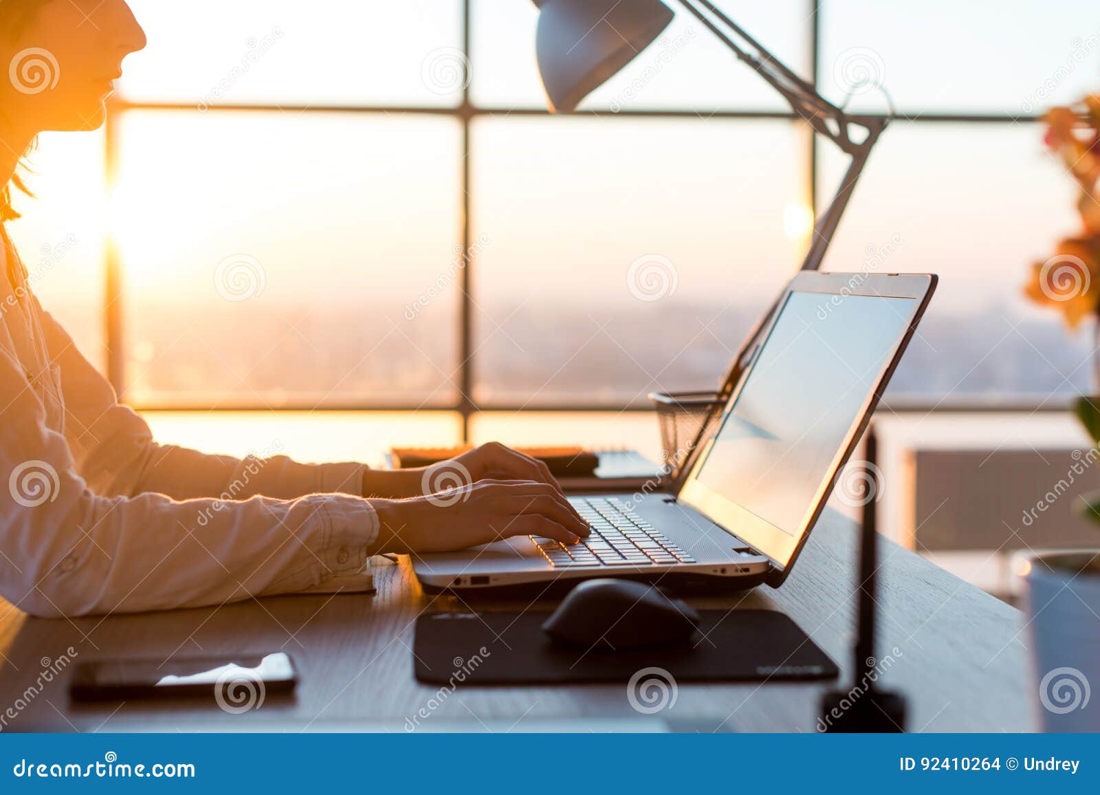 Female Teleworker Texting Using Laptop and Internet, Working Online ...