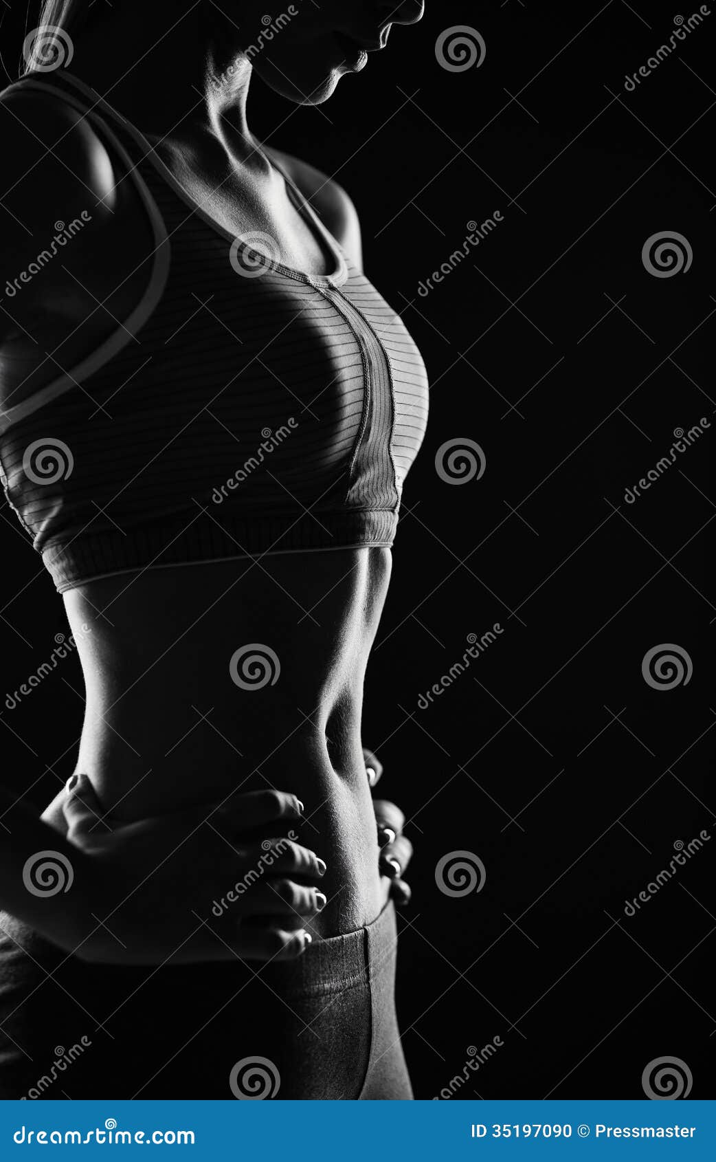 Female torso stock photo. Image of personal, lifestyle - 35197090