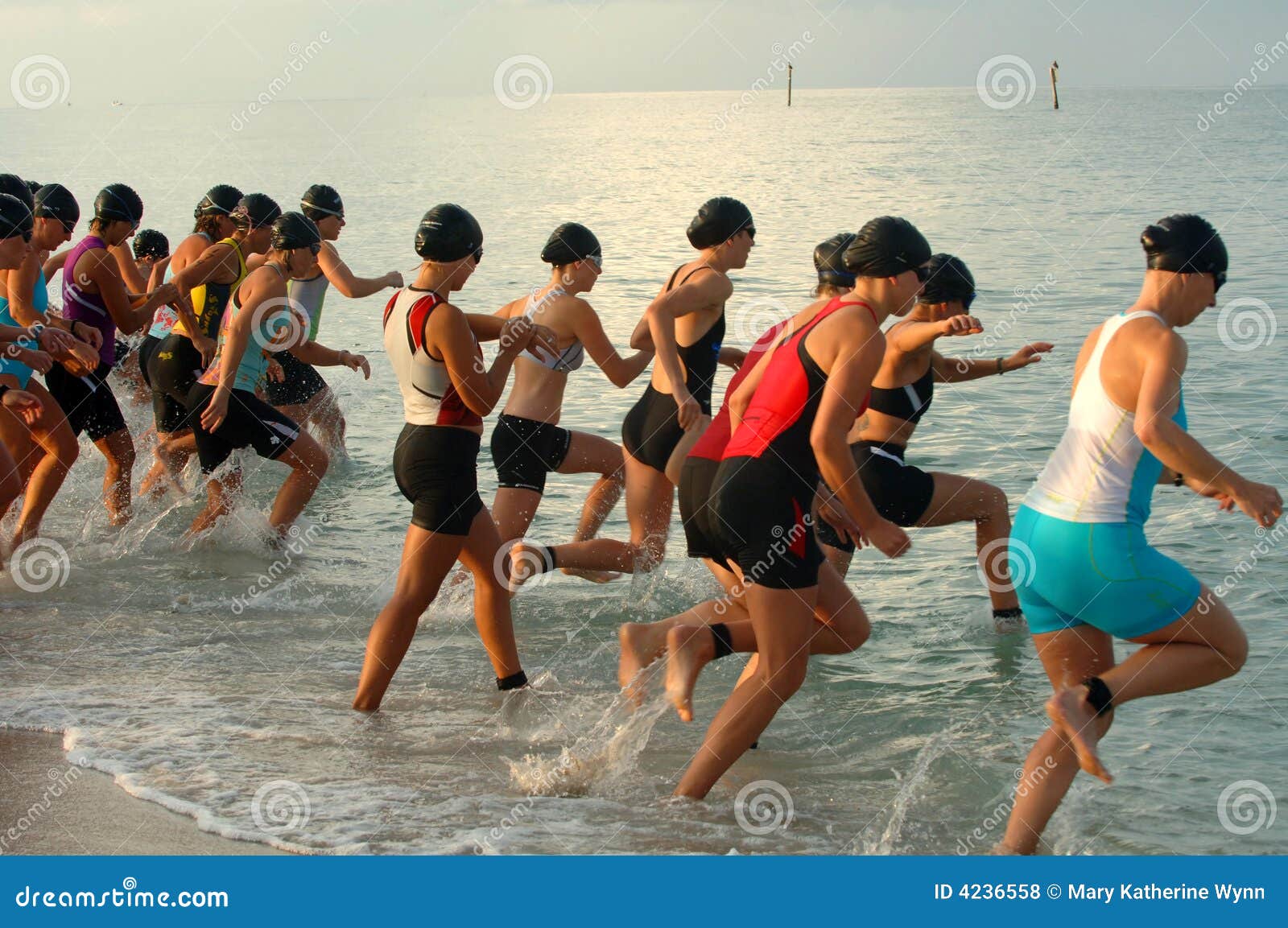 Female Triathalon Swim Race St Editorial Stock Photo - Image of swim ...