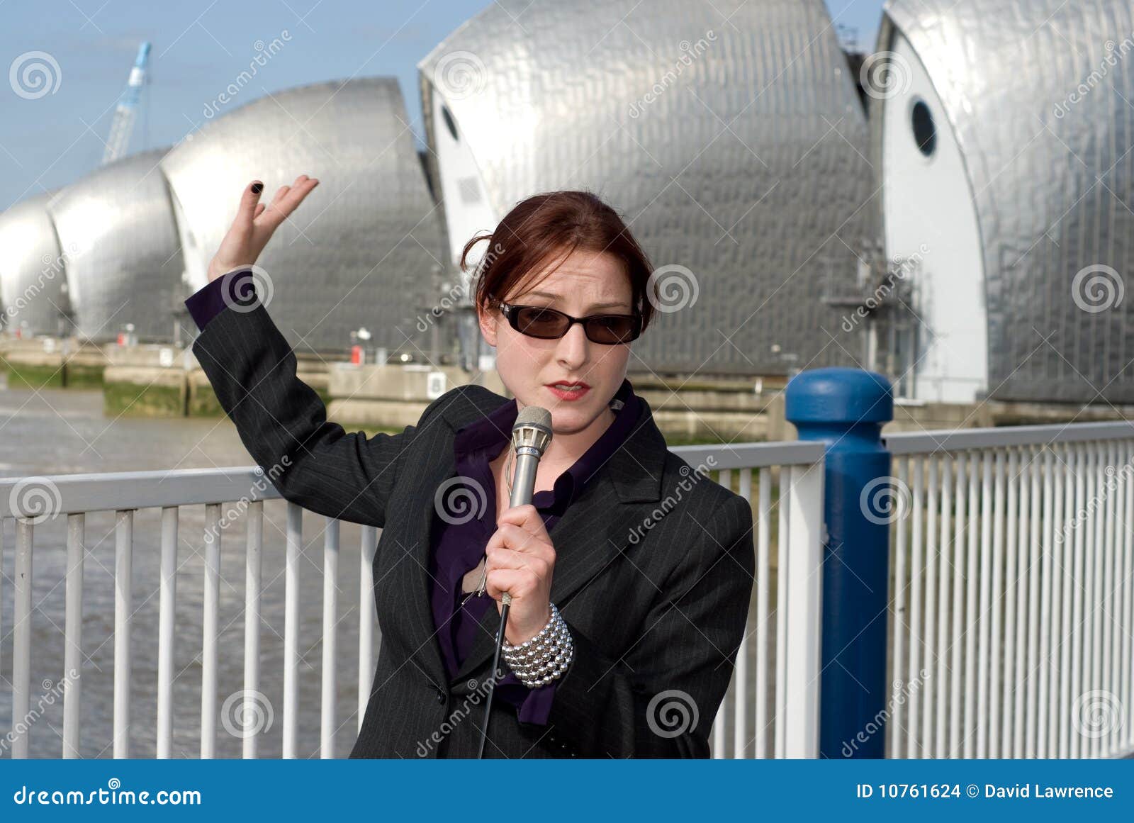 Female tv reporter stock photo. Image of news, female - 10761624