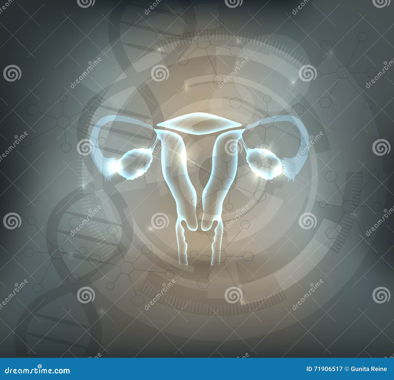 Female Uterus Abstract Background Stock Vector - Illustration of cycle ...