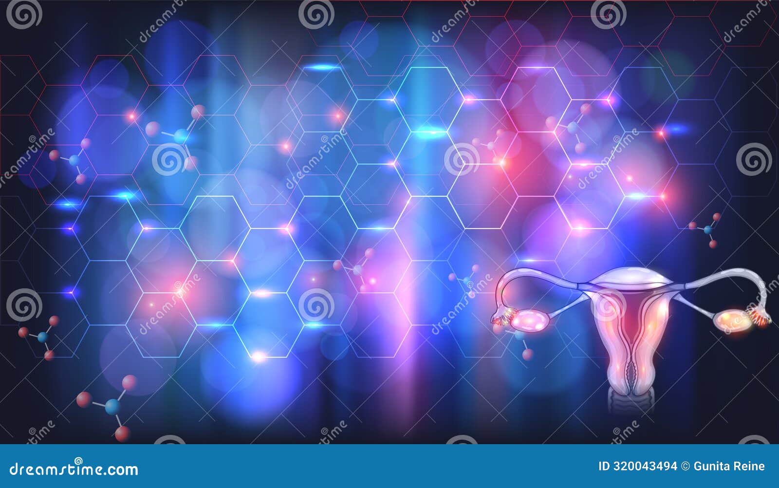 Female uterus background stock illustration. Illustration of ovaries ...