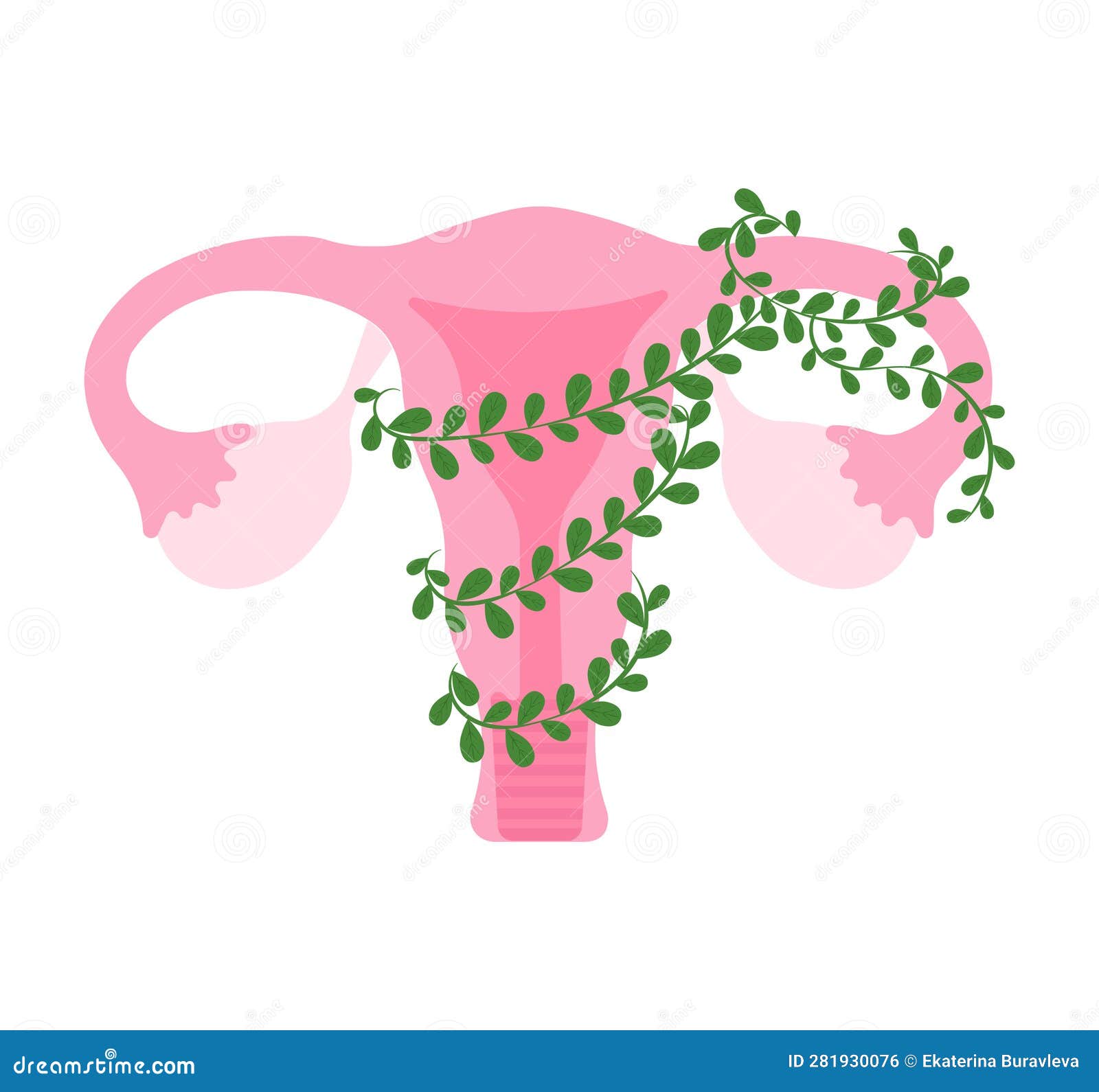 Female Uterus In Leaves Women Health Floral Infographic Of Polycystic