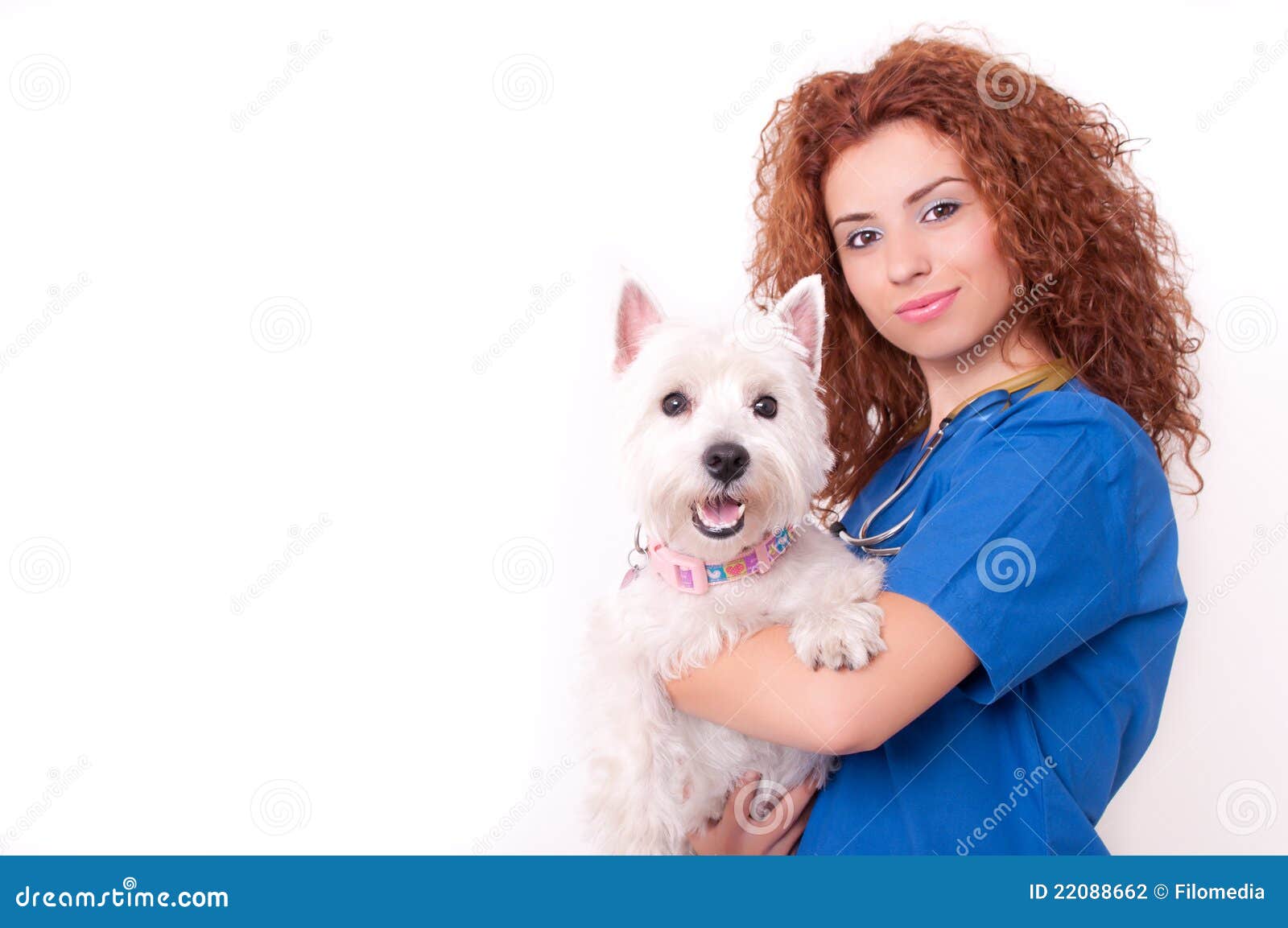 Female vet with dog stock photo. Image of cute, assistant - 22088662