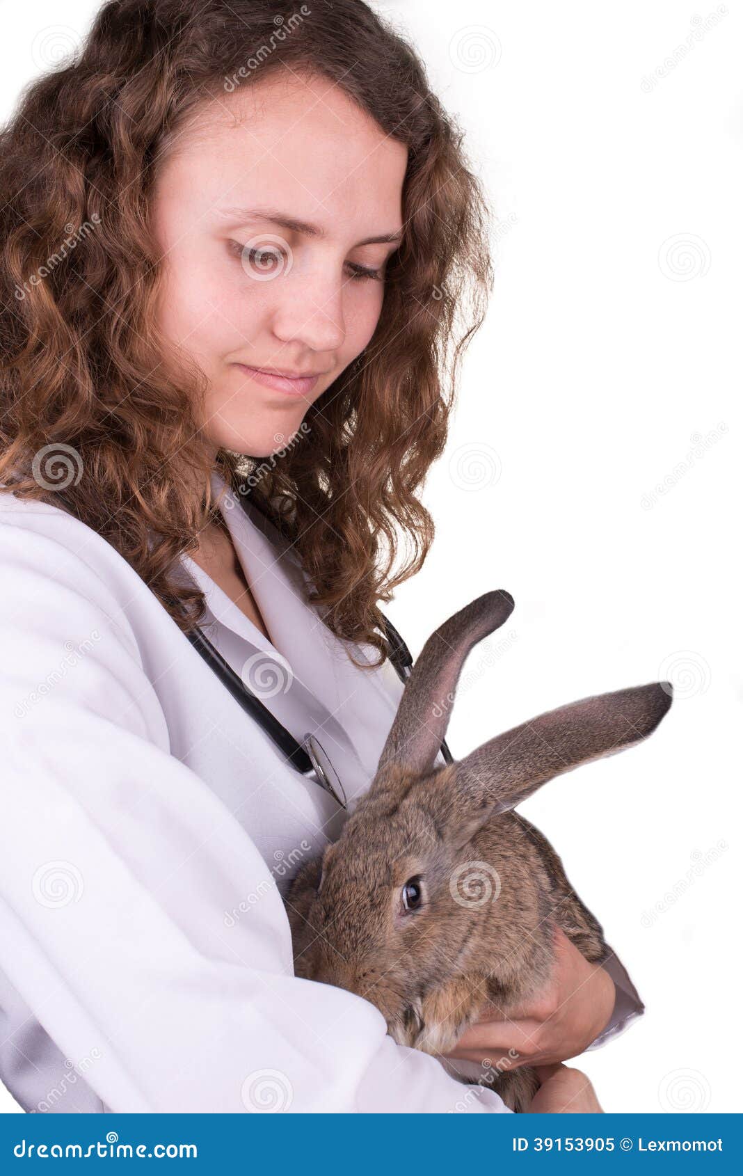 A Female Vet Holding a Rabbit Stock Image - Image of health, girl: 39153905