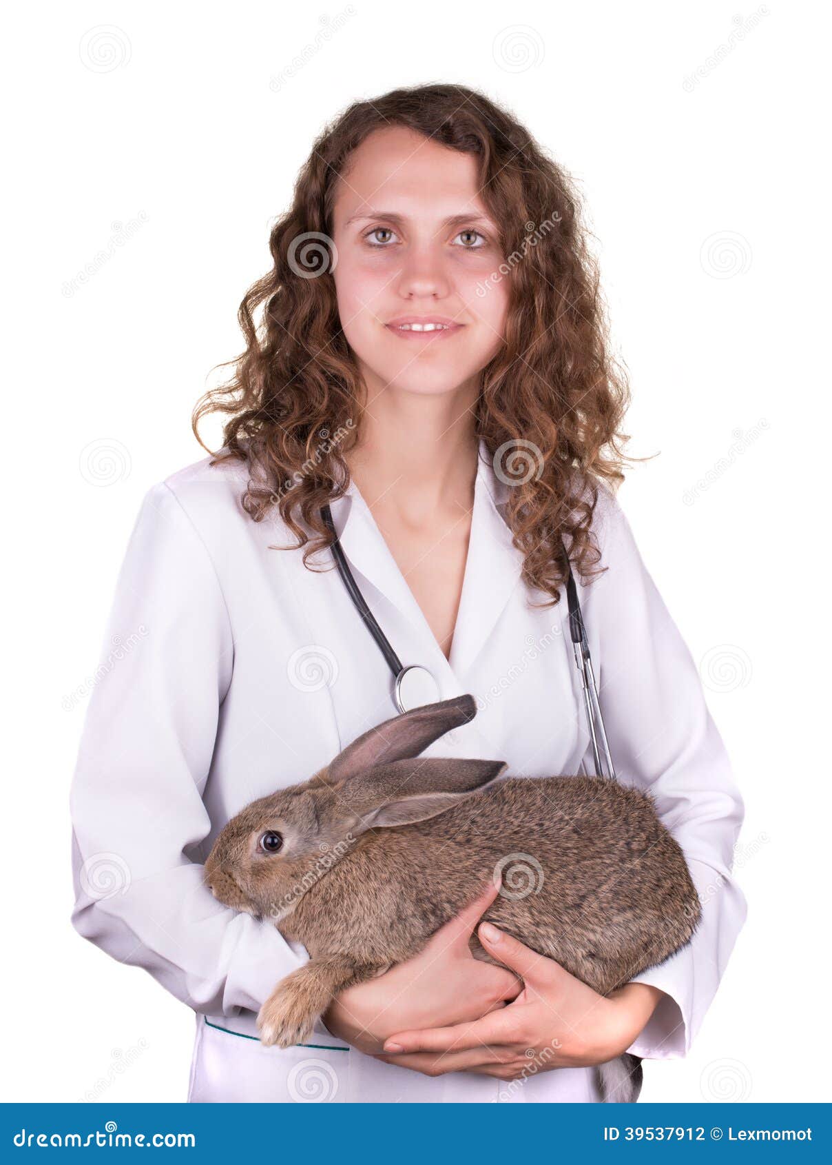 A Female Vet Holding a Rabbit Stock Photo - Image of portrait, pretty ...