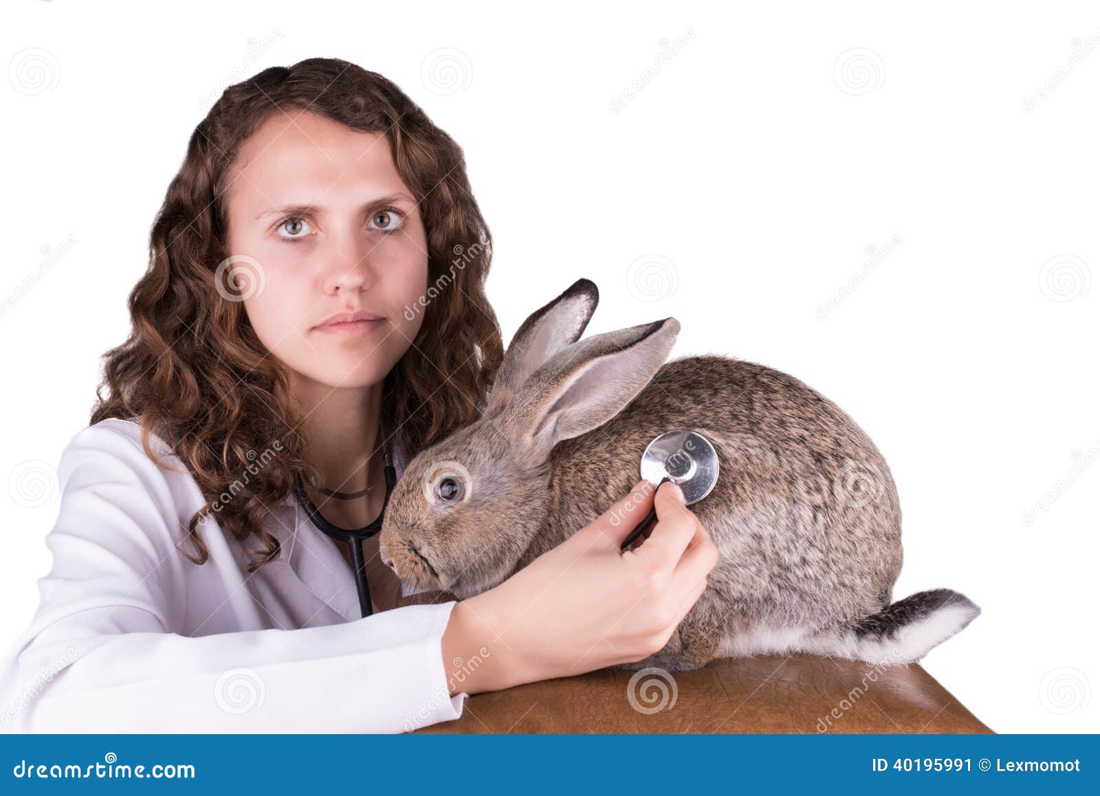A Female Vet Holding a Rabbit Stock Image - Image of health, female ...