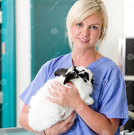 Female Vet with Rabbit stock image. Image of bunny, girl - 15957437