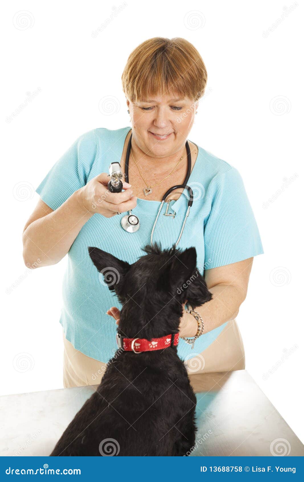 Female Veterinarian stock photo. Image of mature, breed - 13688758