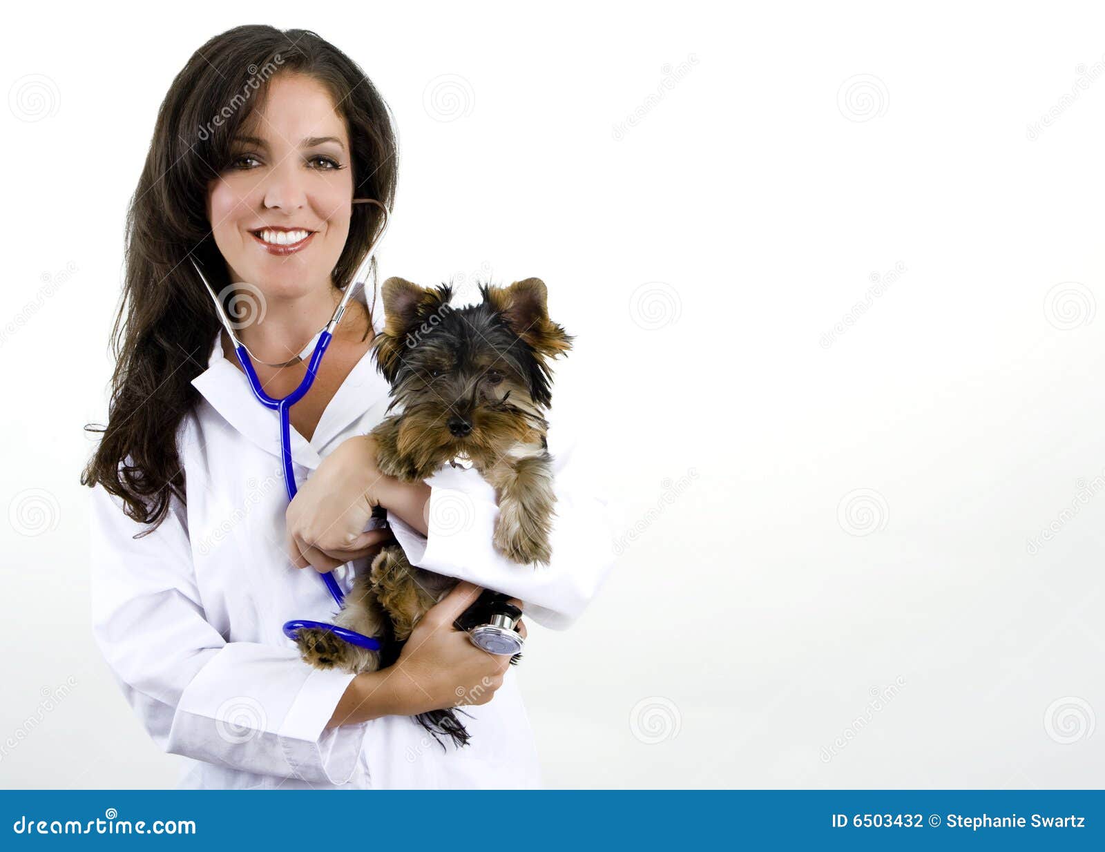 Female veterinarian stock photo. Image of attractive, care - 6503432