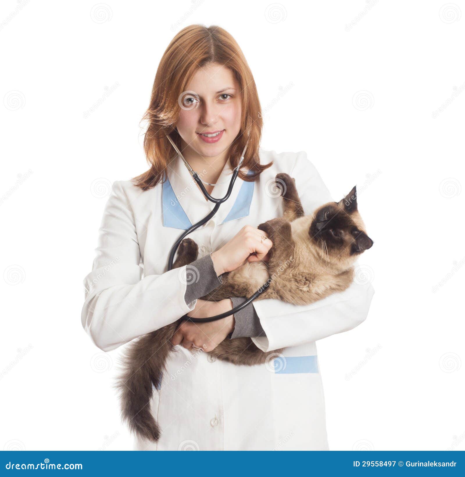 Female veterinary doctor stock image. Image of medicine - 29558497